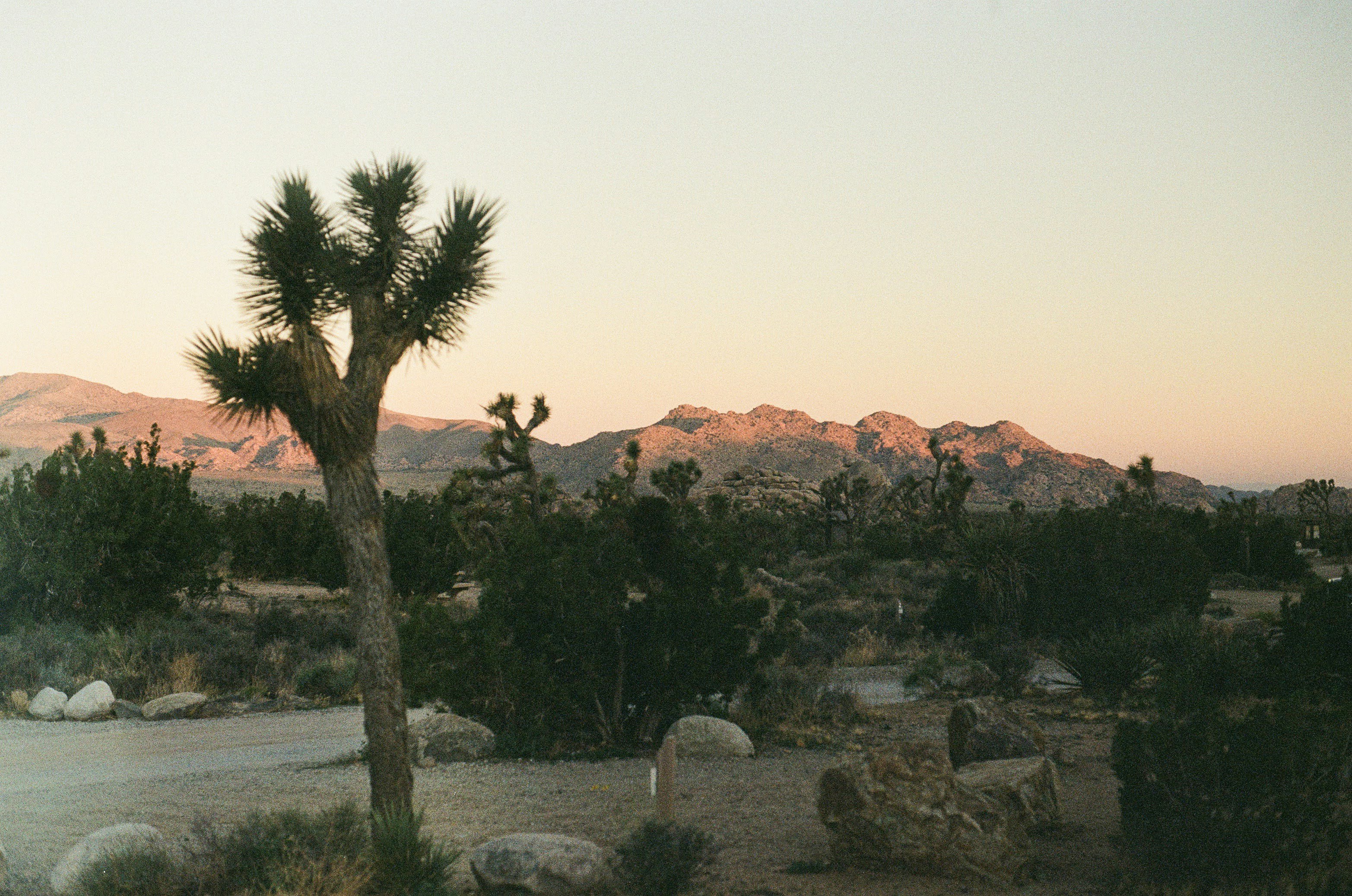 Photo by Isabelle Salomon with Olympus OM-1