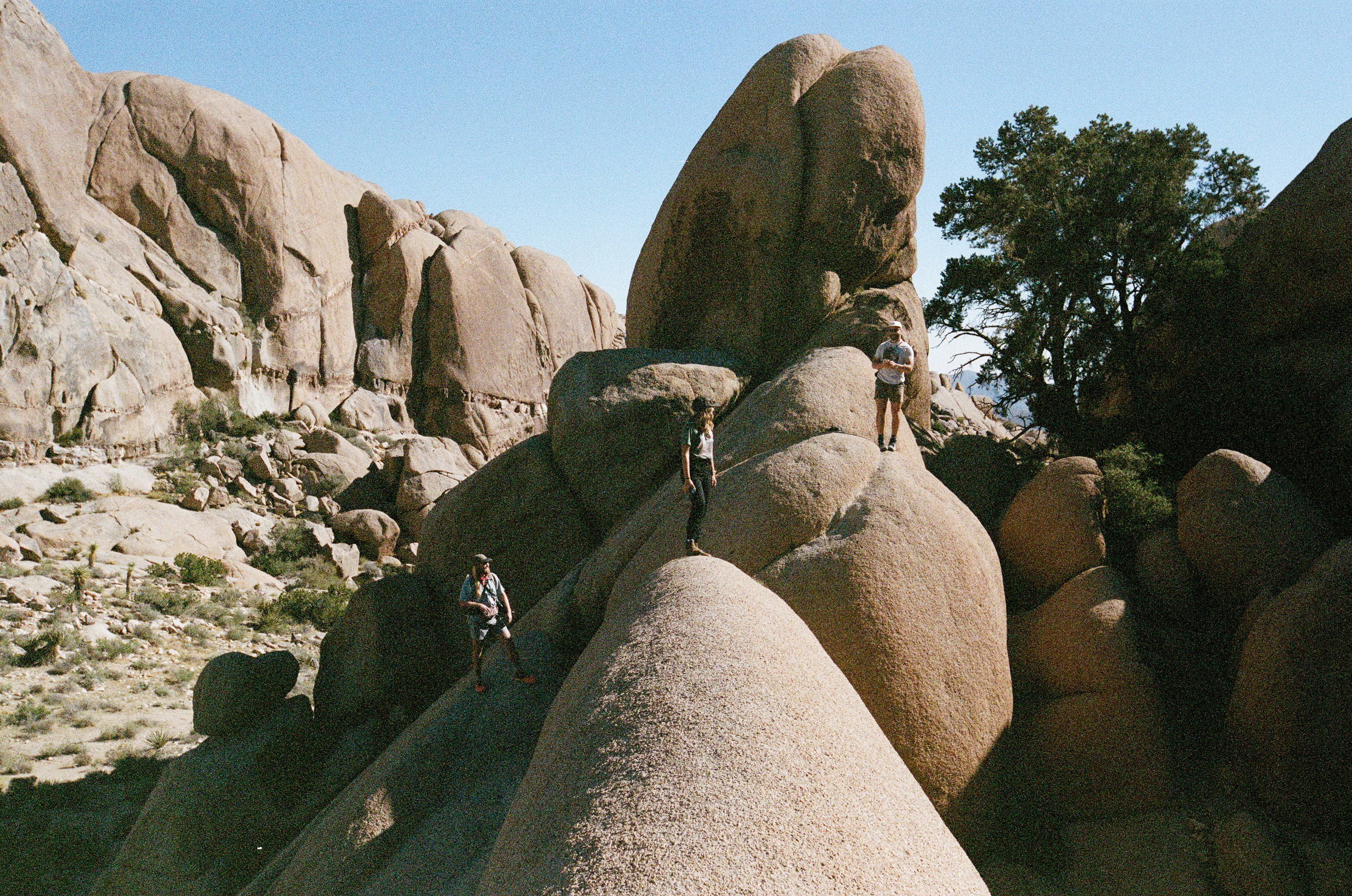 Climbers navigate rounded granite monoliths in a sunlit desert rockscape.