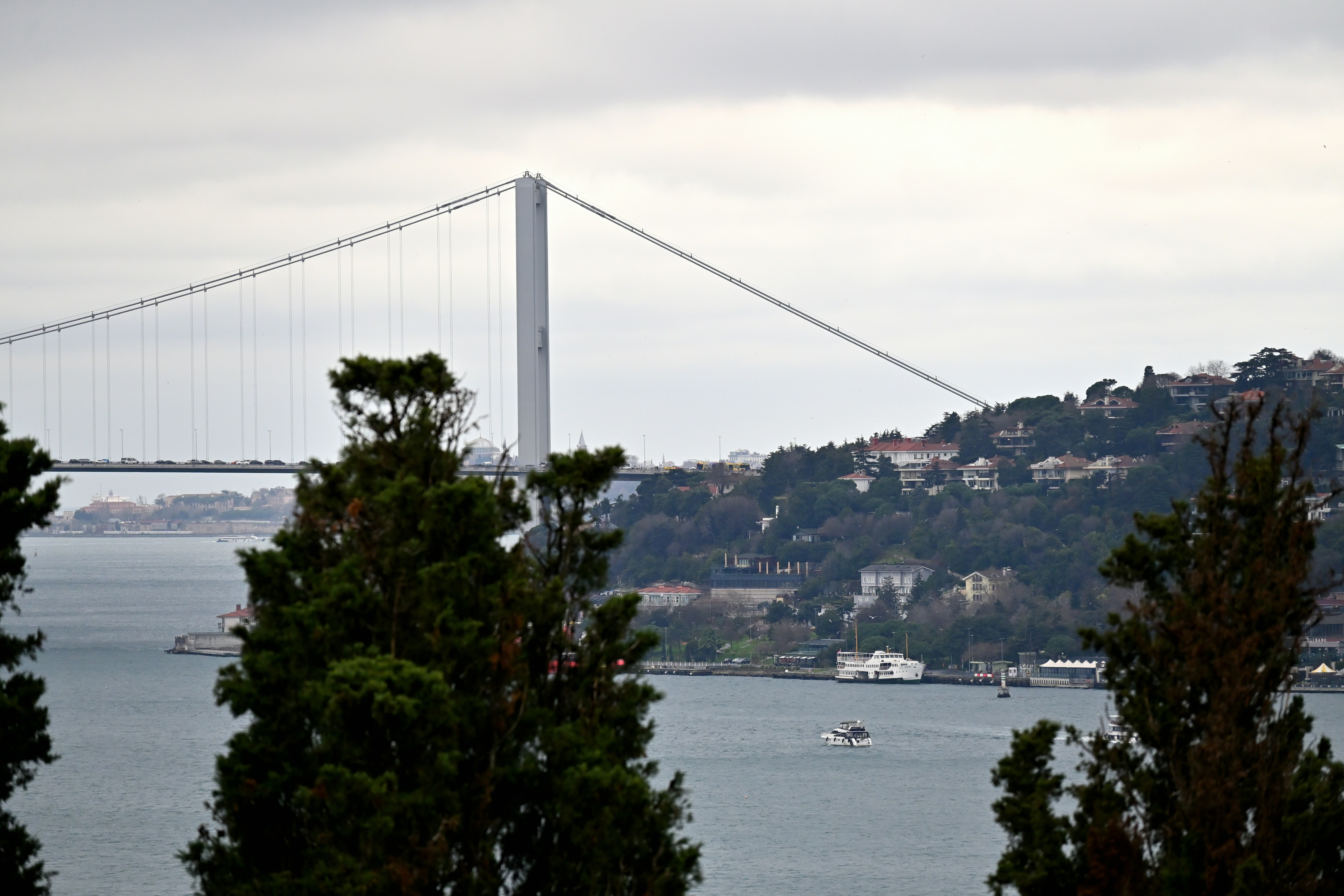 Suspension bridge spans over a tranquil waterway with a hillside of houses in the background.