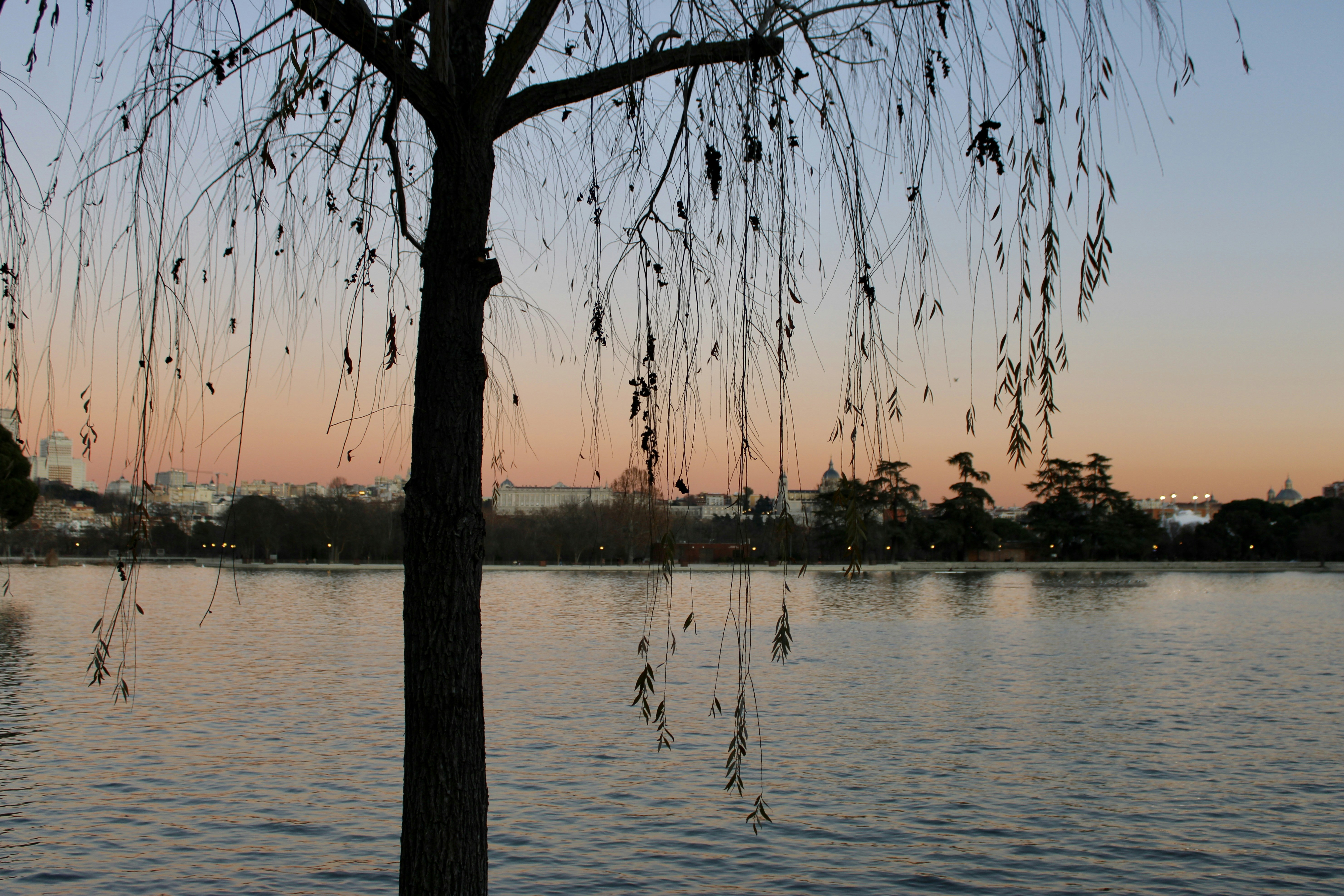 Silent Reflections at Dusk