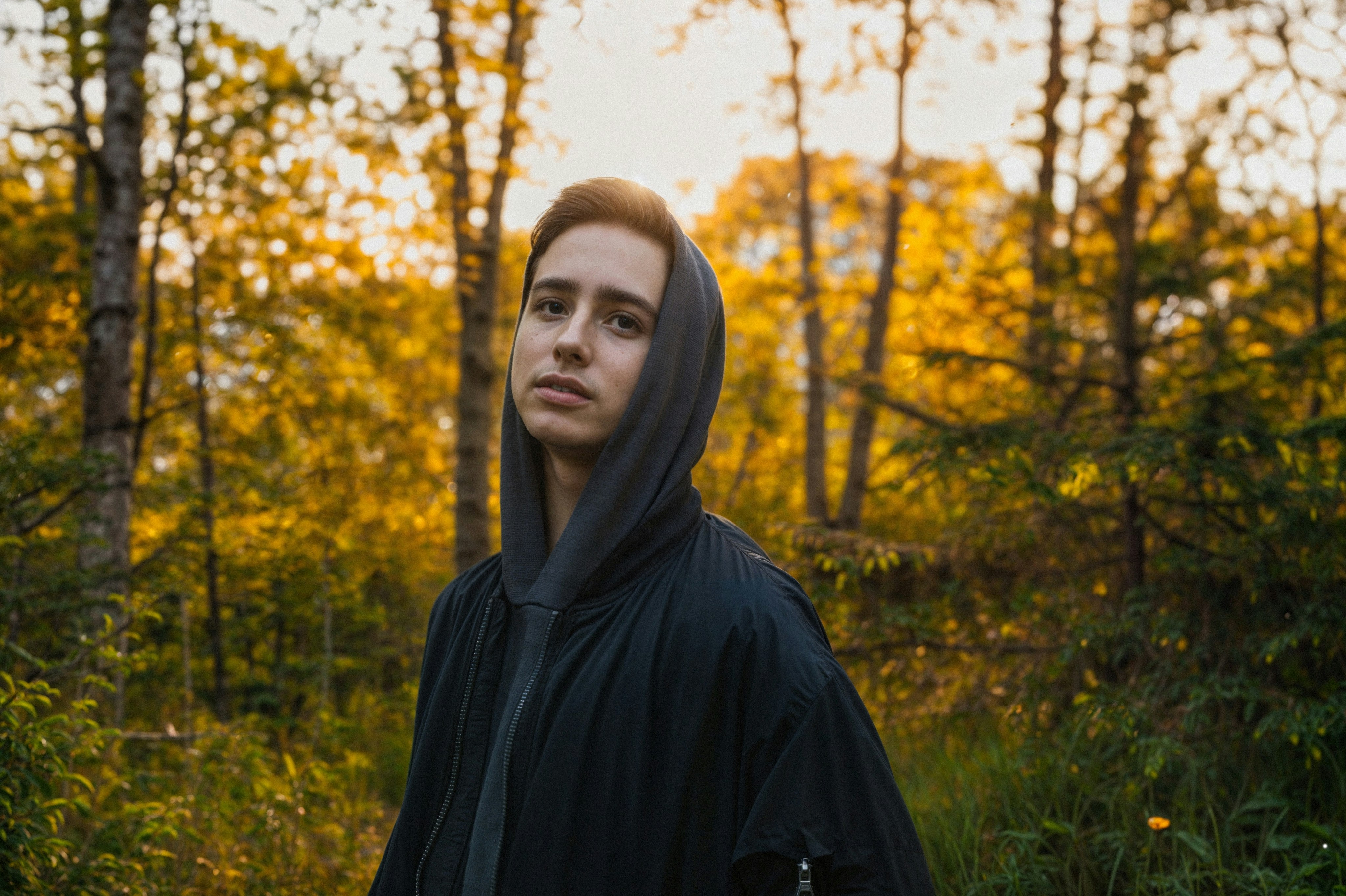 A young man wearing a black hoodie and jacket, standing amidst a forest with warm golden sunlight filtering through the trees. The serene autumn scenery highlights the contrast between his casual outfit and the vibrant natural surroundings, evoking a calm and introspective mood