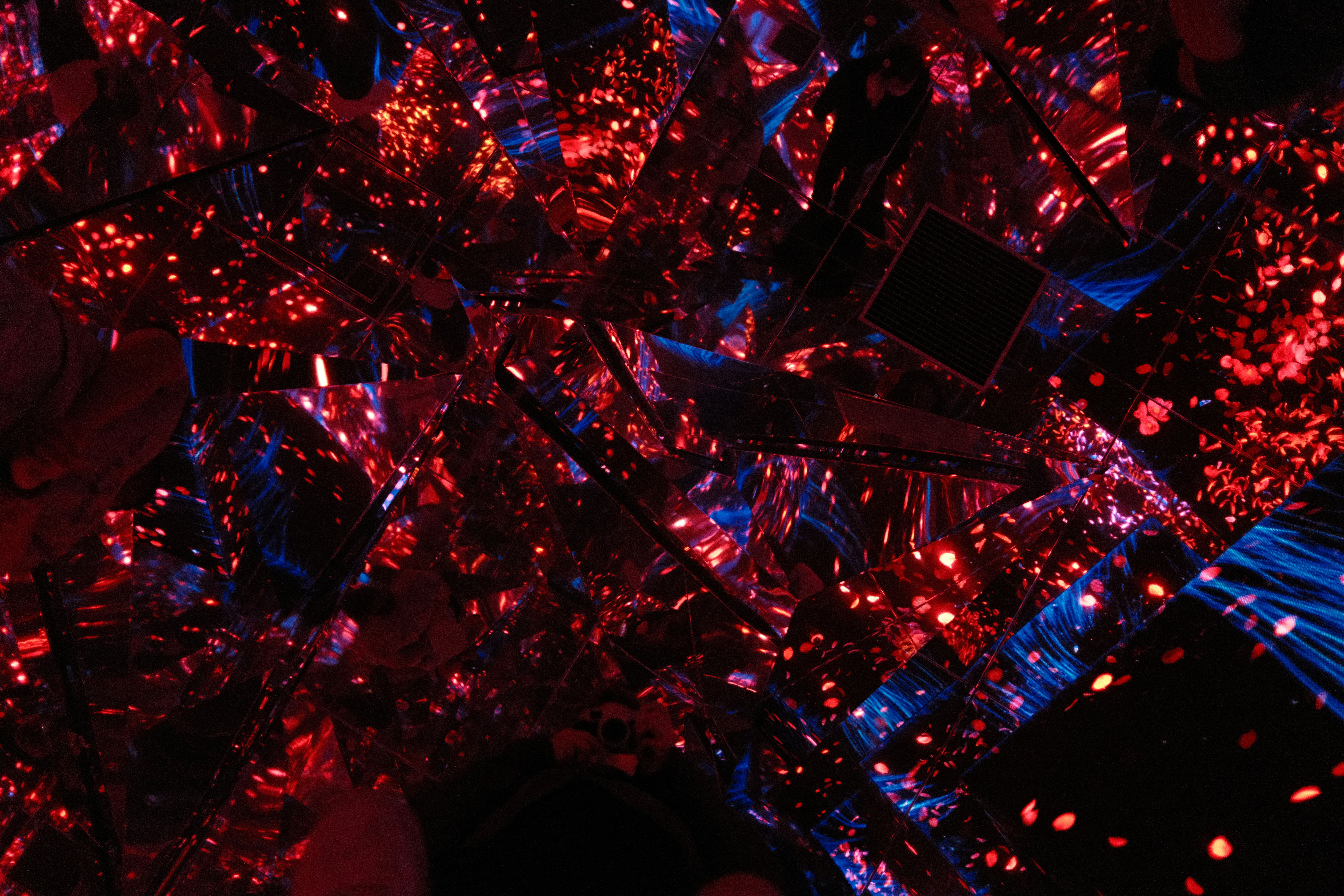 A group of people standing in front of a red and blue wall photo – Free ...