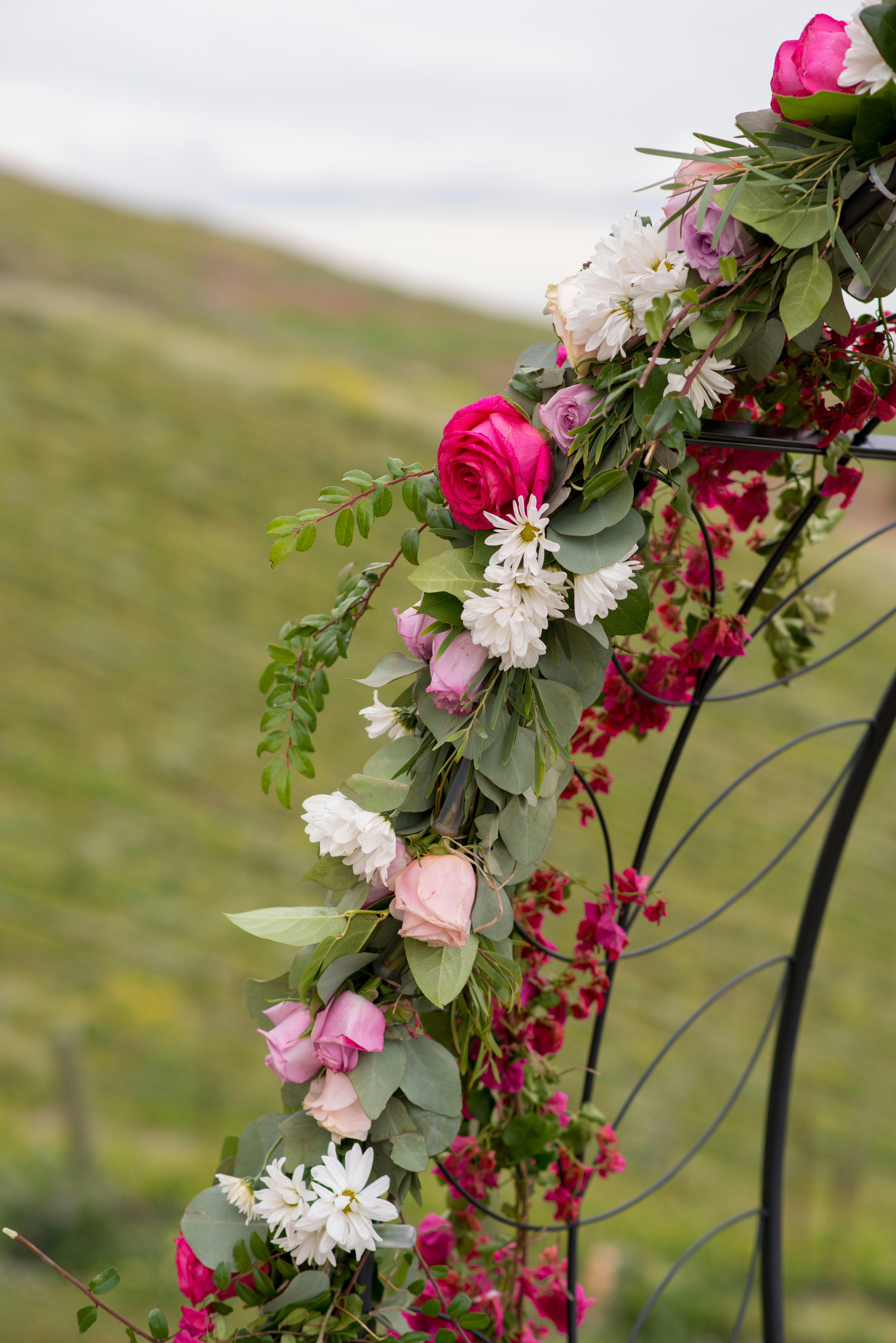 Floral Arch on the Hillside: Pink Roses and White Blooms