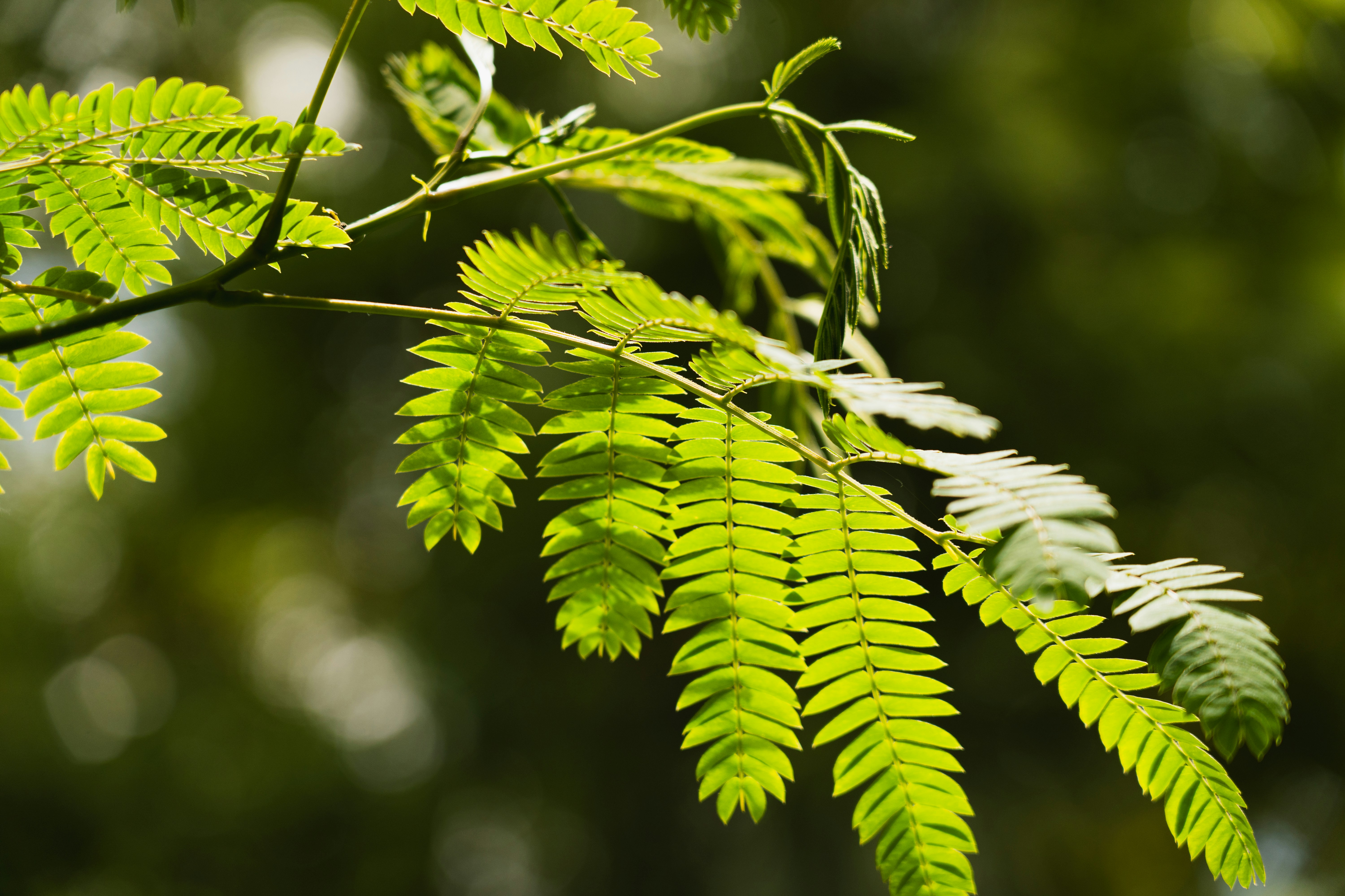 Photo by eden tuaine with Sony Alpha 7 III