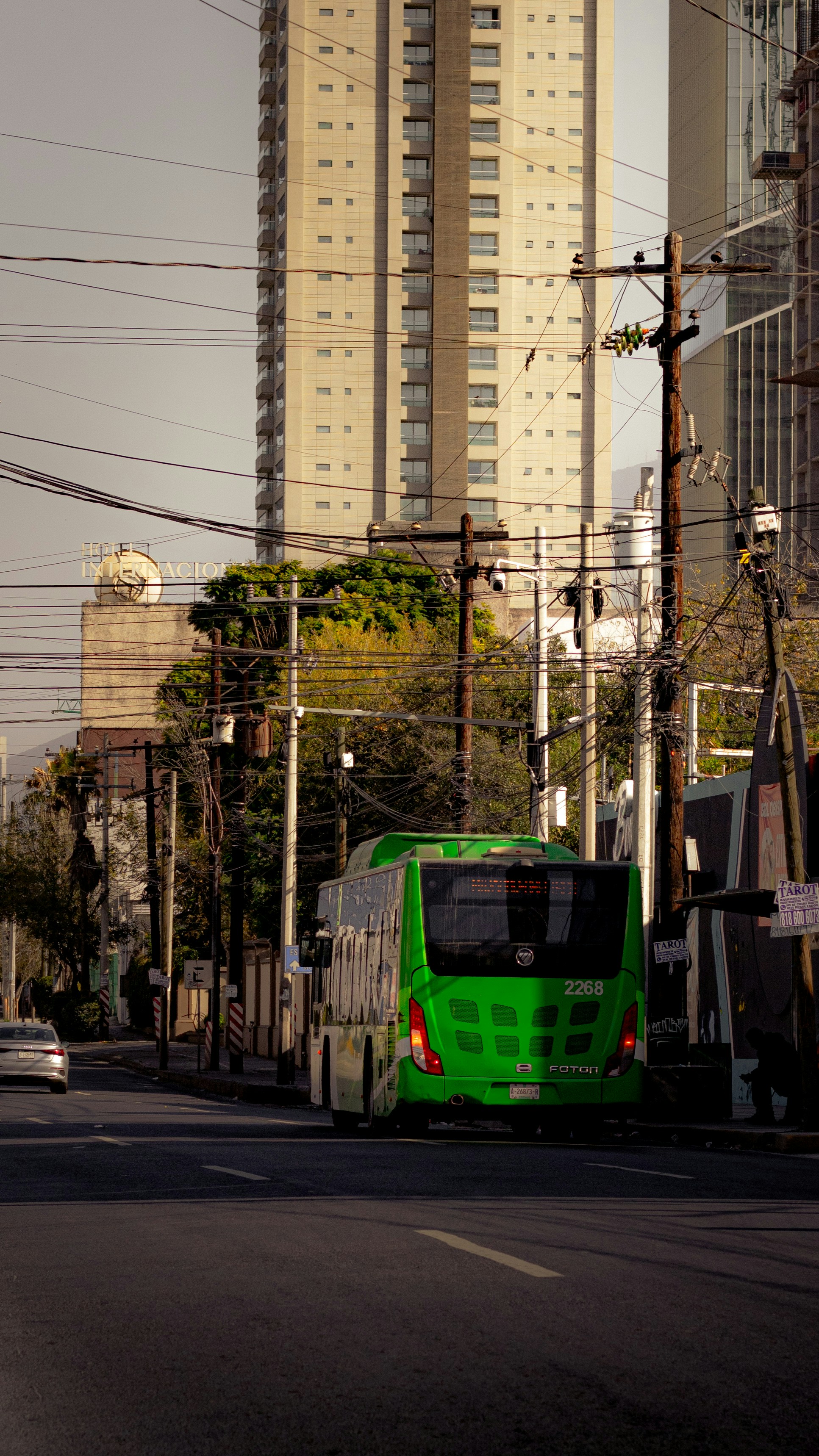 Green City Bus on a Quiet Urban Street at Dusk