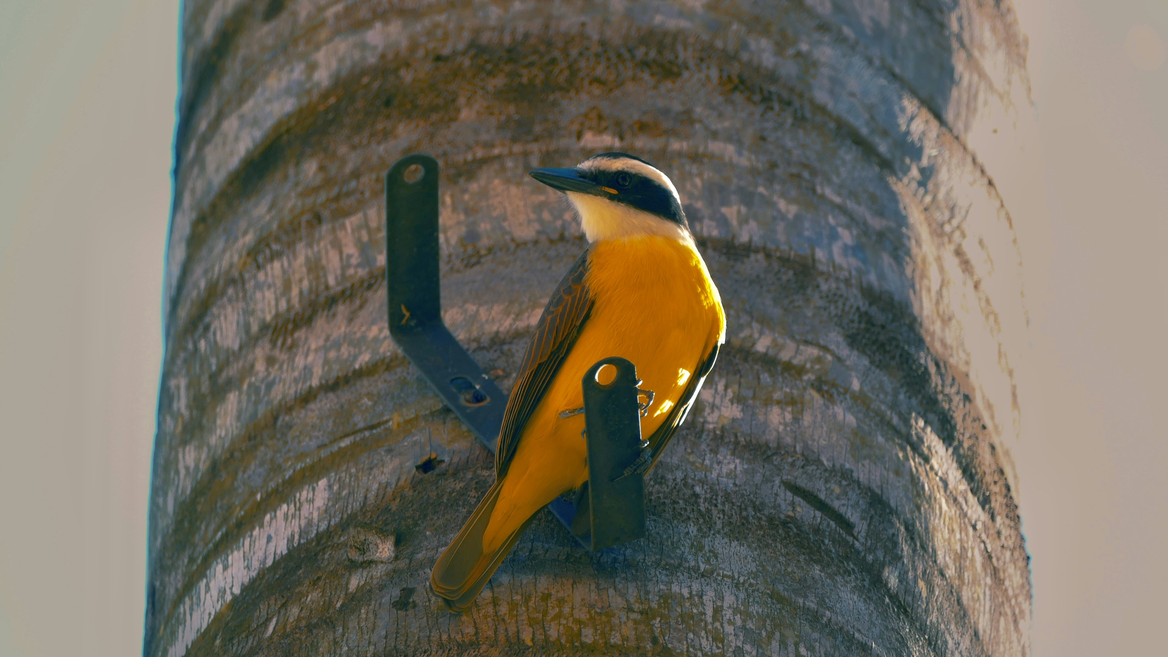 Photo by Juan Pablo Mascanfroni with Panasonic Lumix FZ1000