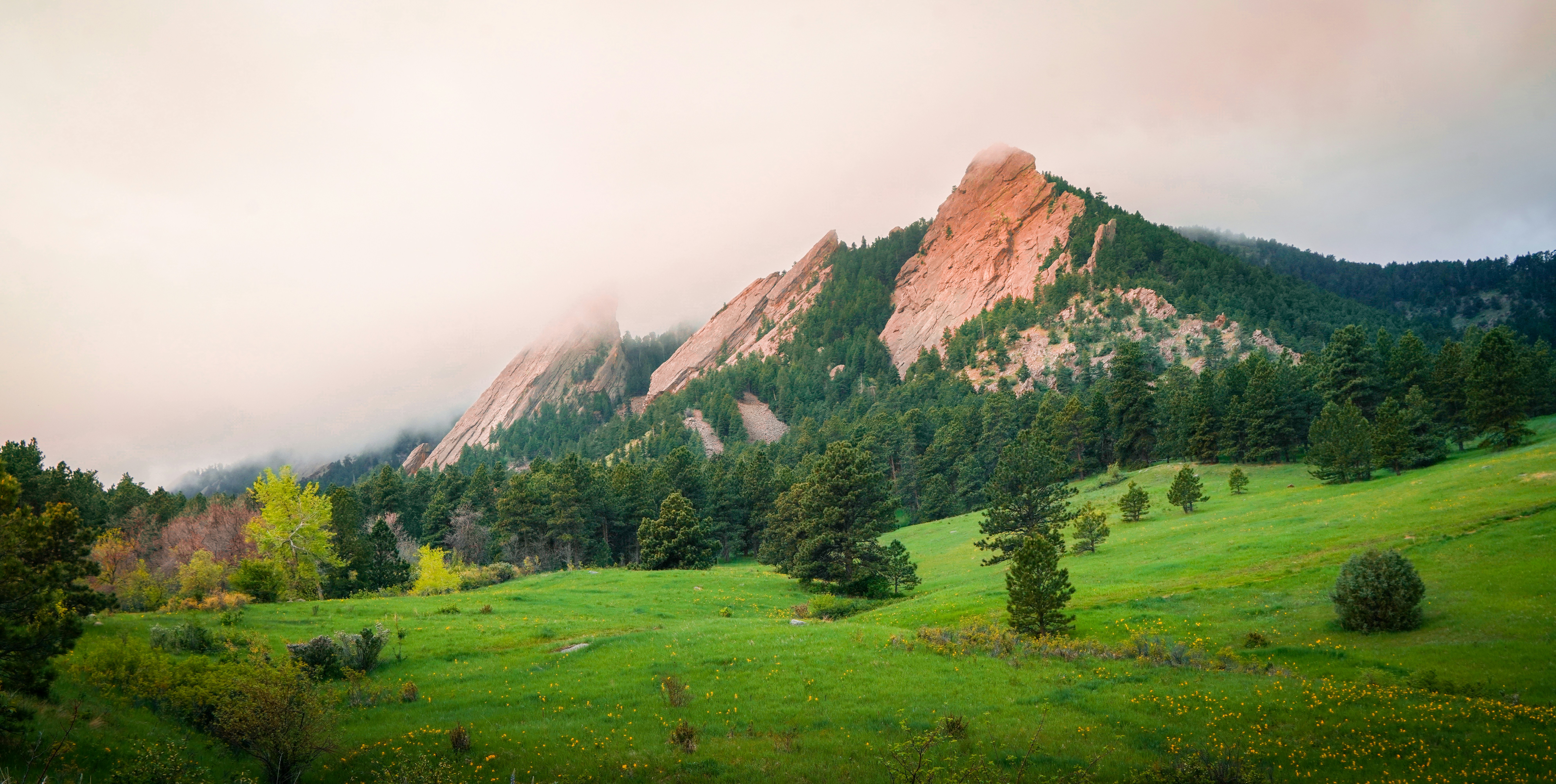 Flatirons in Boulder, Colorado, shrouded in morning mist with a green meadow in the foreground.