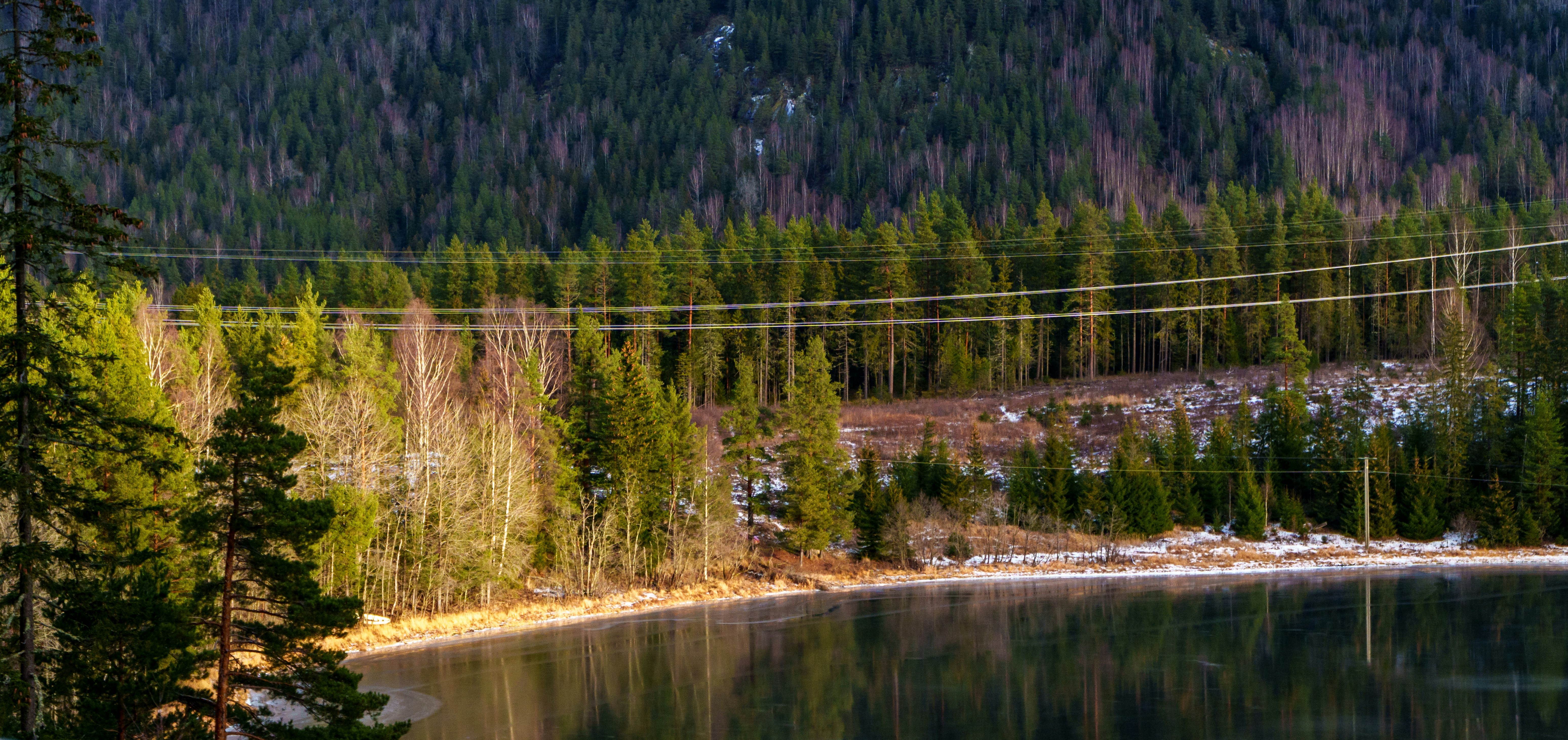 Reflections and Pines: Quiet Line Across a Mountain Lake