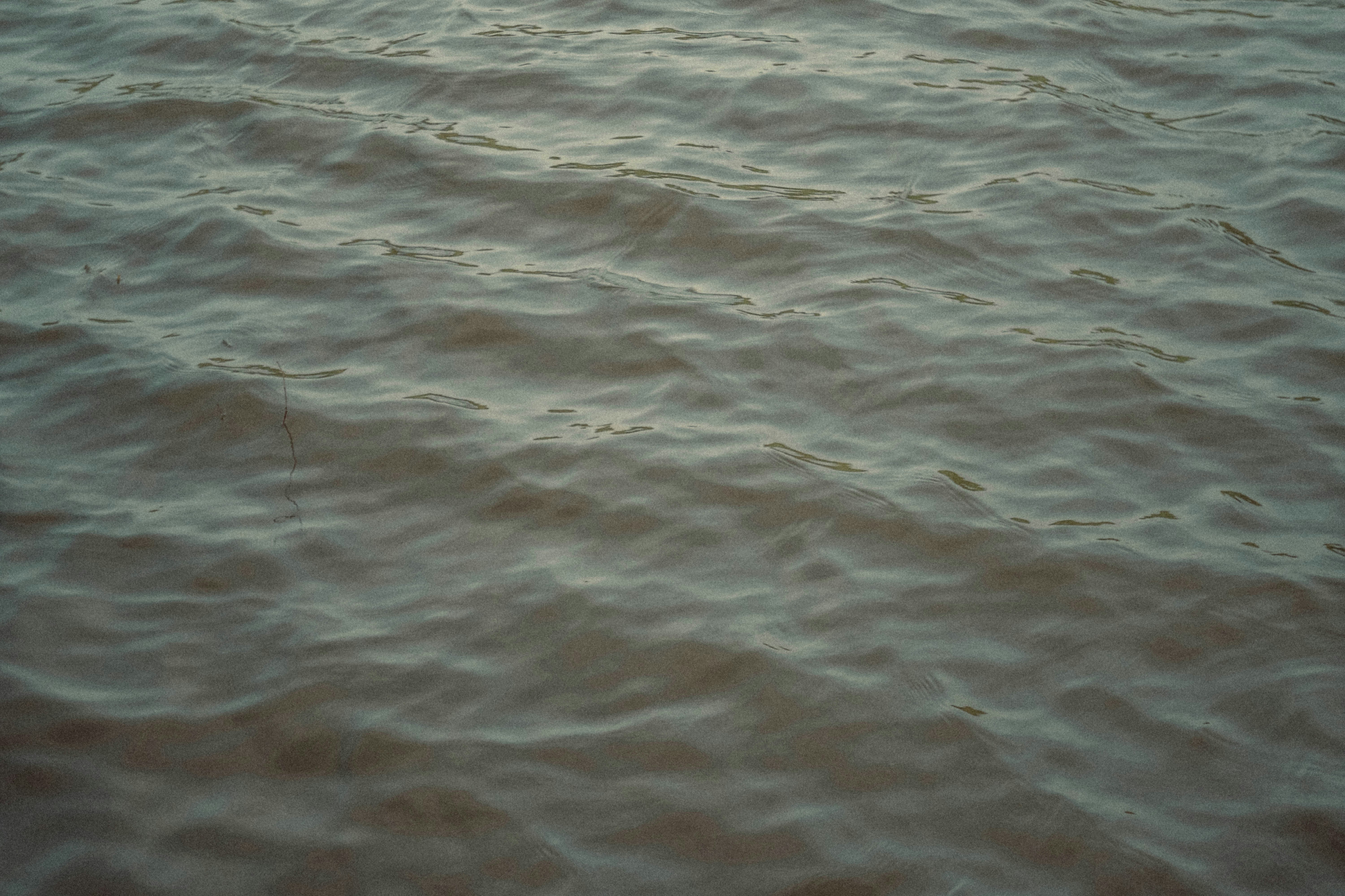 Water Body Pictures | Download Free Images on Unsplash