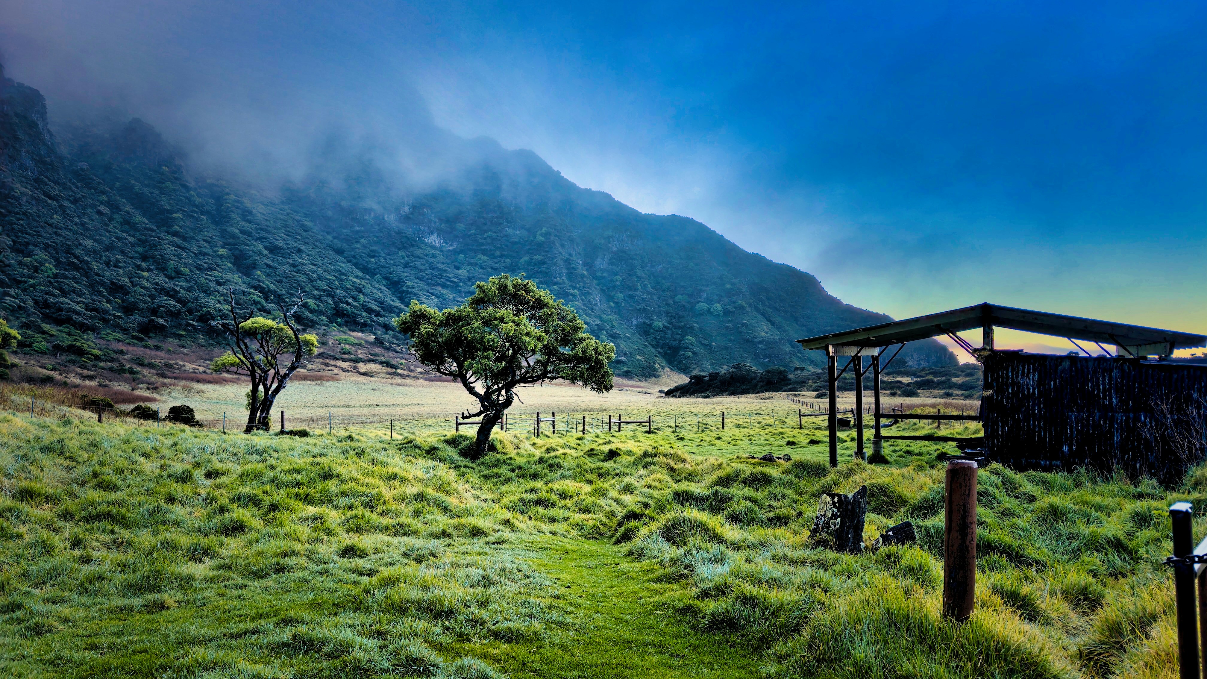 Lyle Wilkinson (@lwilky) | Unsplash Photo Community