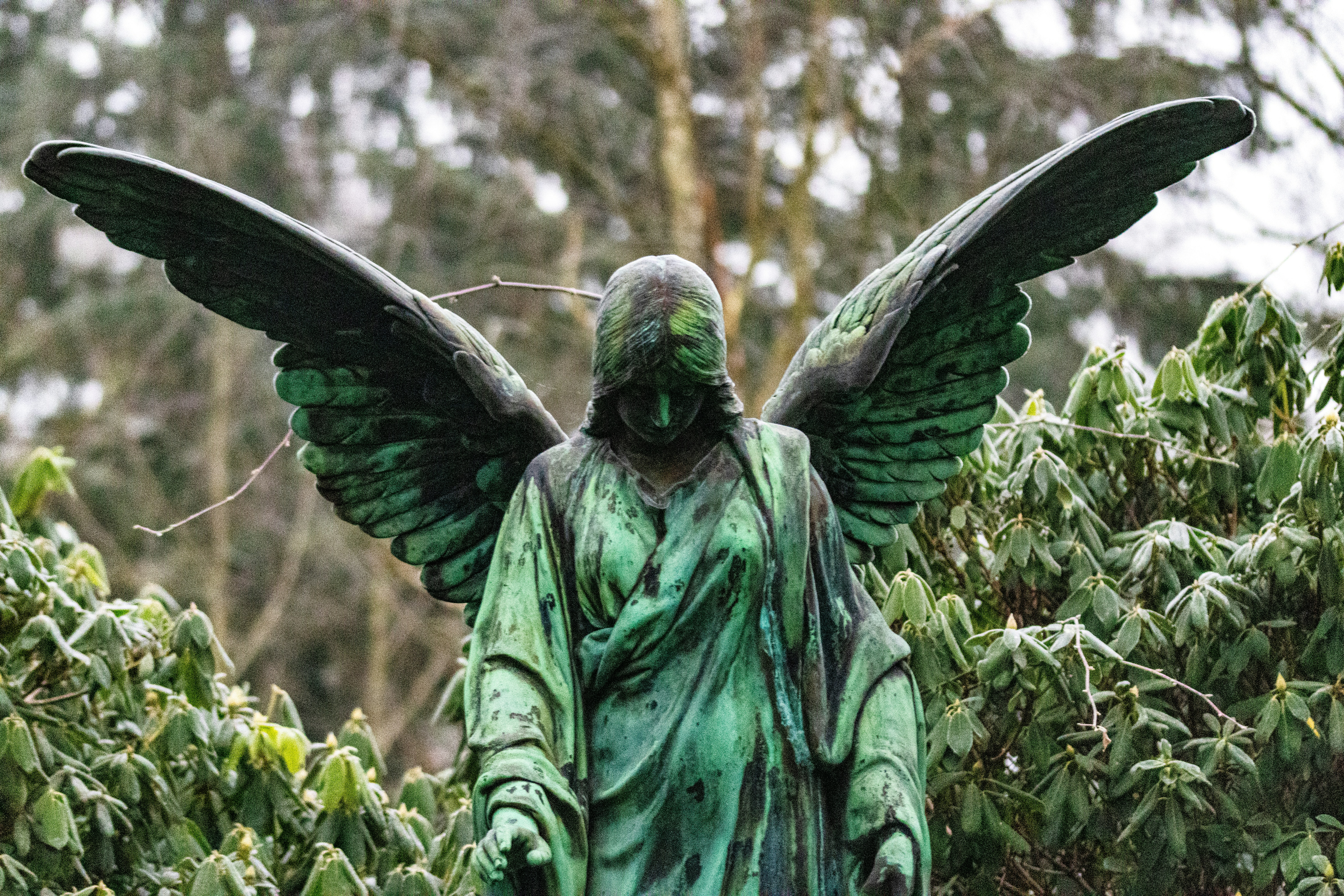 A statue of an angel surrounded by trees photo – Free Ohlsdorfer ...