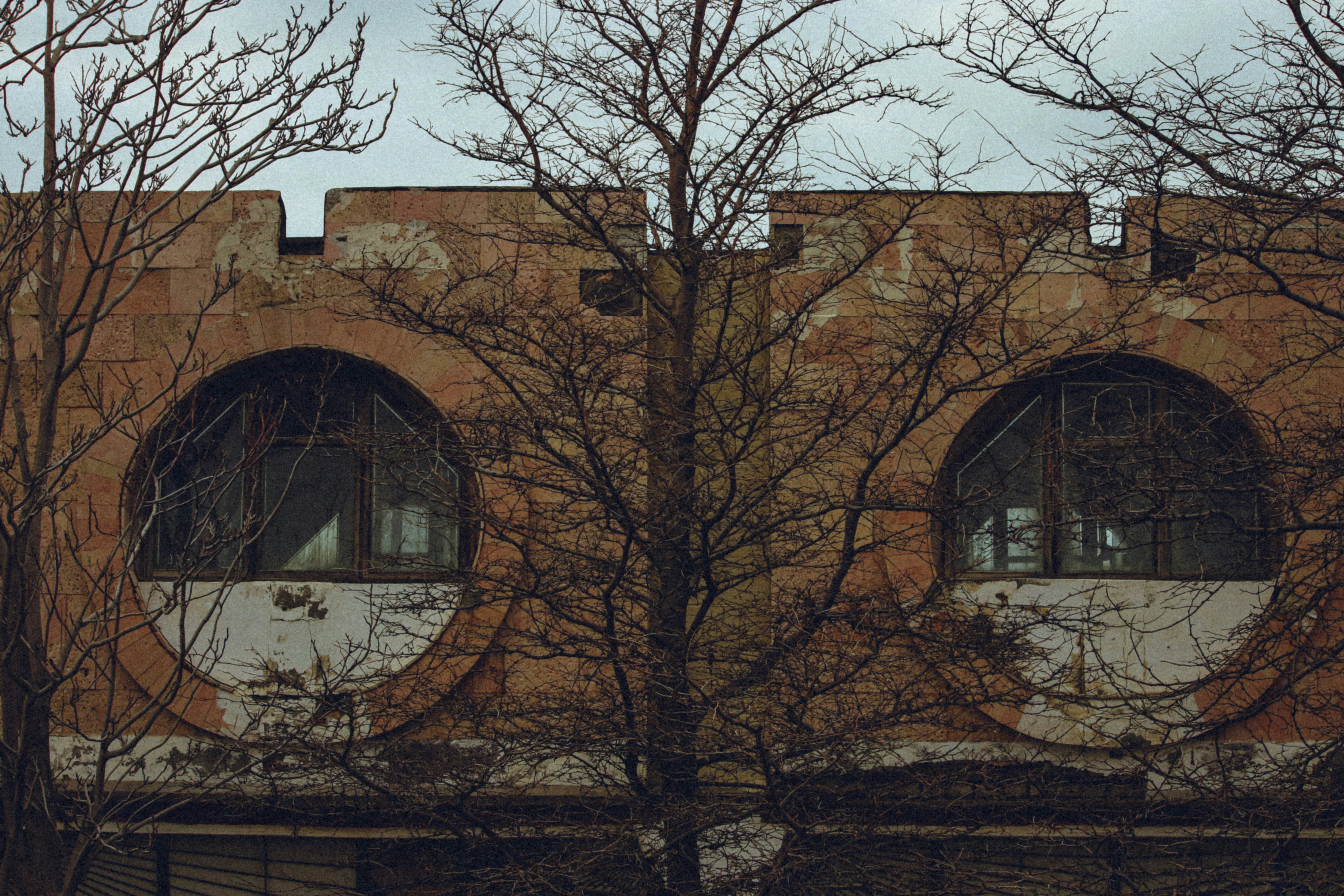 Between Circles and Branches: A Brick Facade’s Twin Orbs in Winter