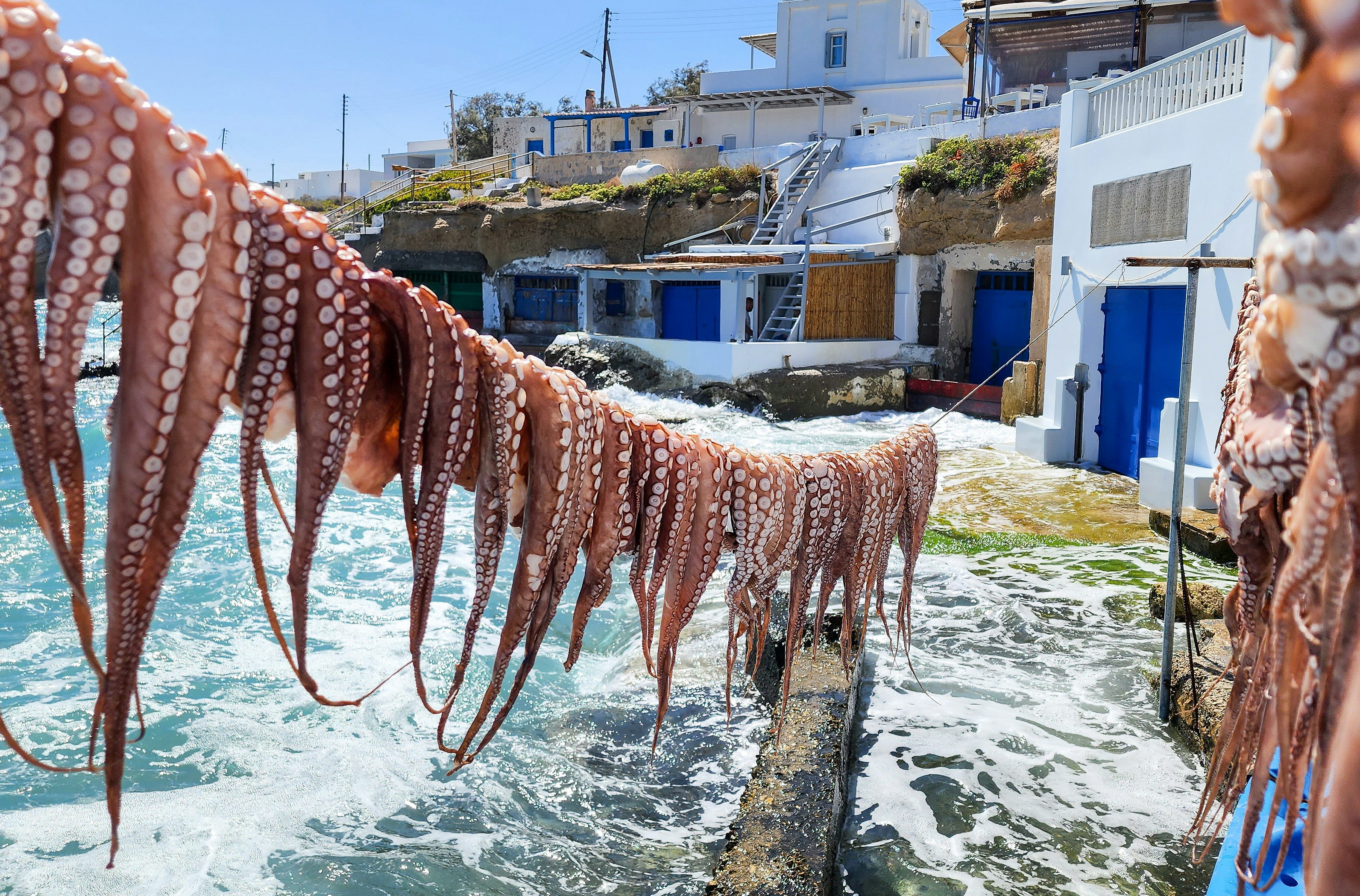 Dried Octopus Garlands Along a Bright Aegean Street