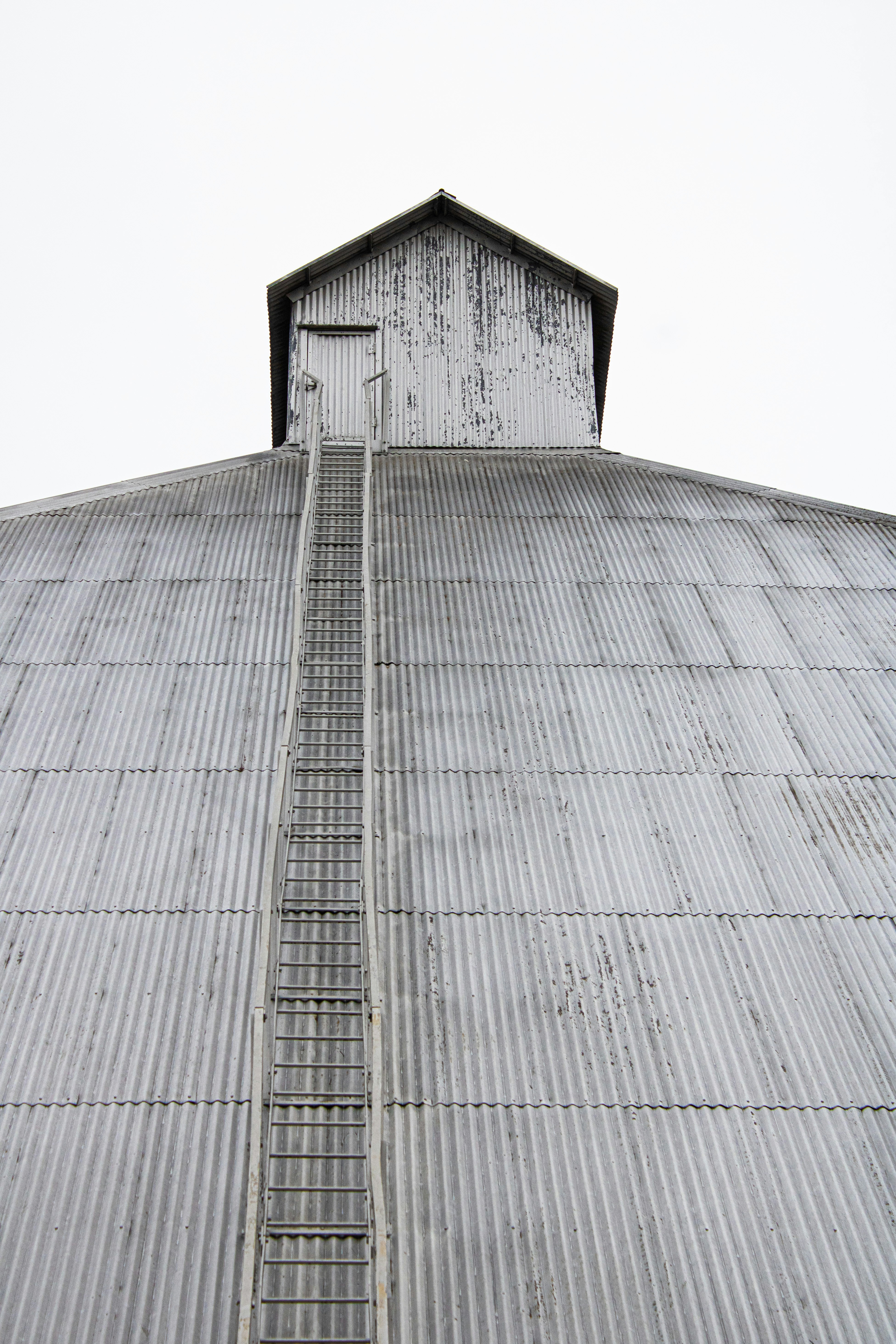 Upward Gaze: The Silent Ladder to a Weathered Cupola