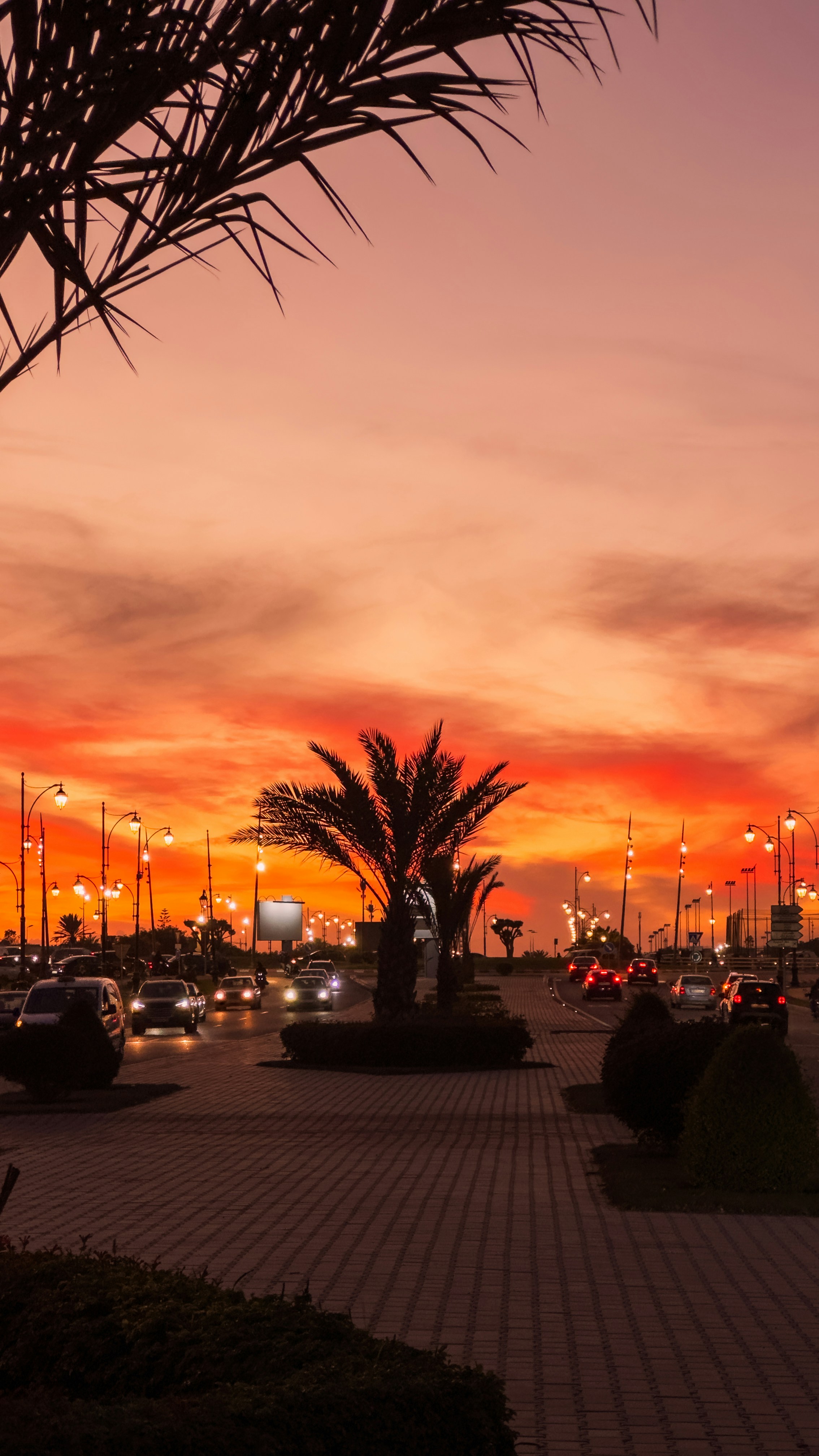 Crimson Palm Boulevard at Dusk: A Sunset-Glowing City Walk