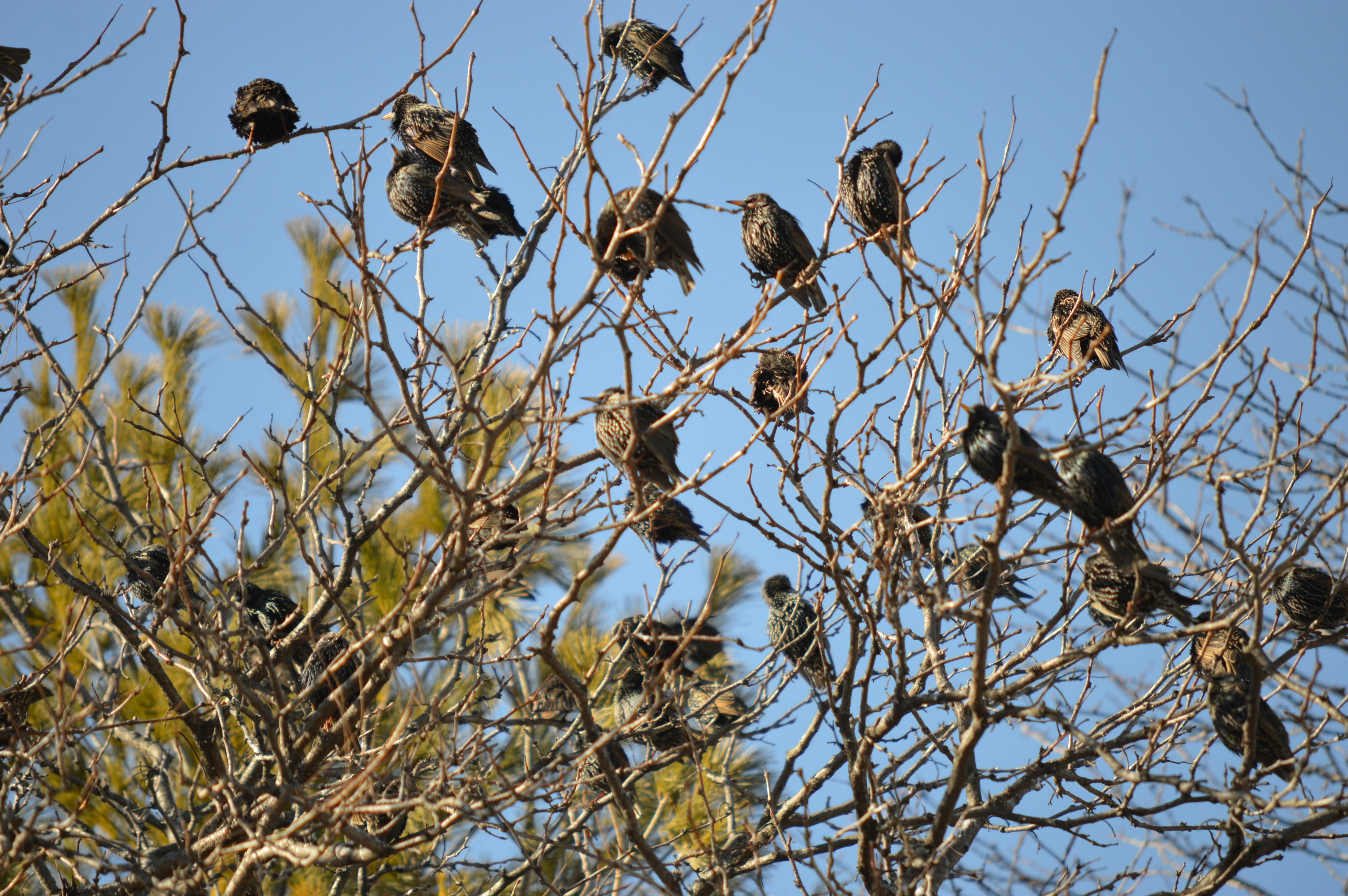 Photo by Christopher Class with Nikon D3200