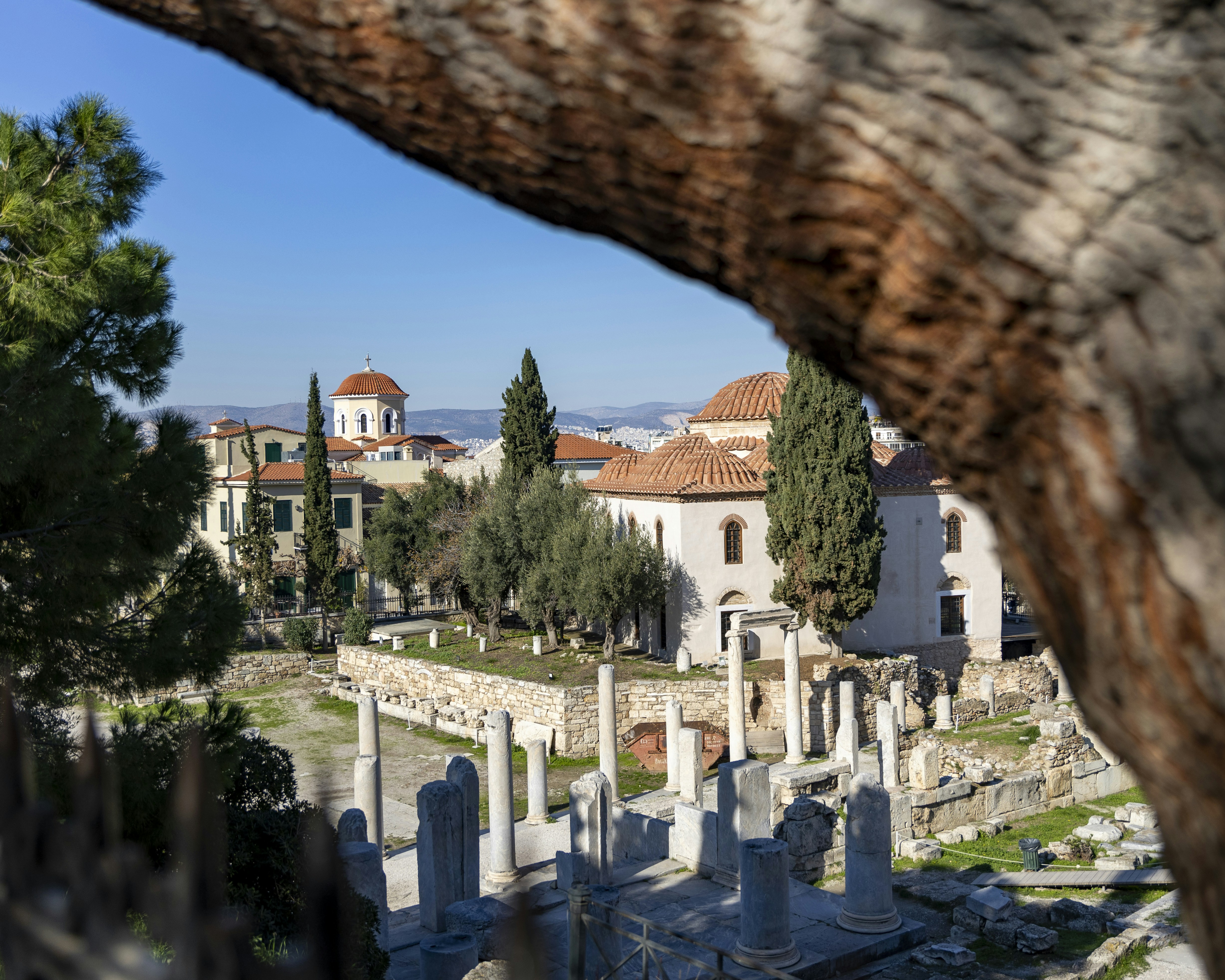 A view of a cemetery through a hole in a tree photo – Free Athens Image ...