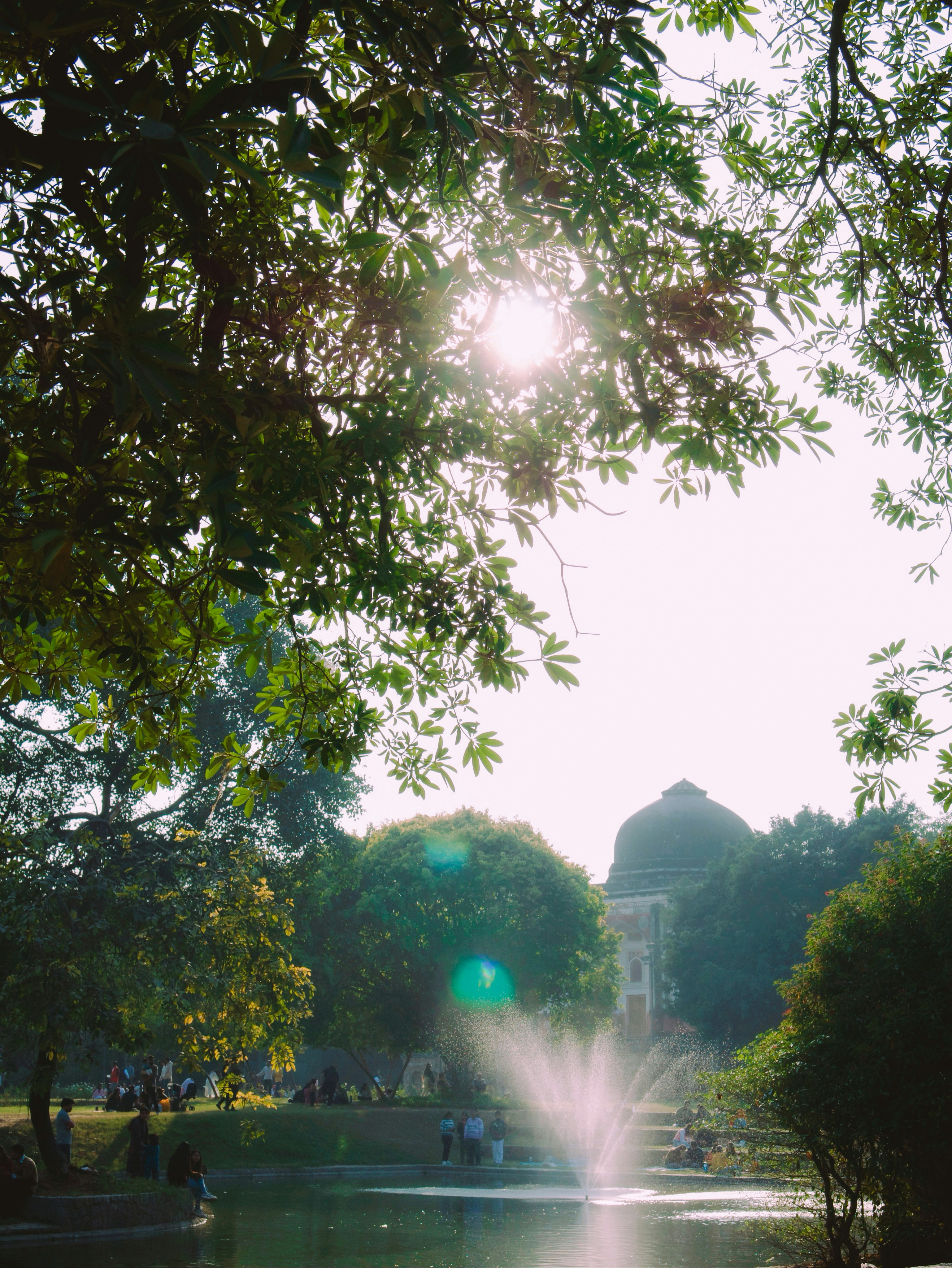 The sun shines brightly through the trees over a pond photo – Free ...