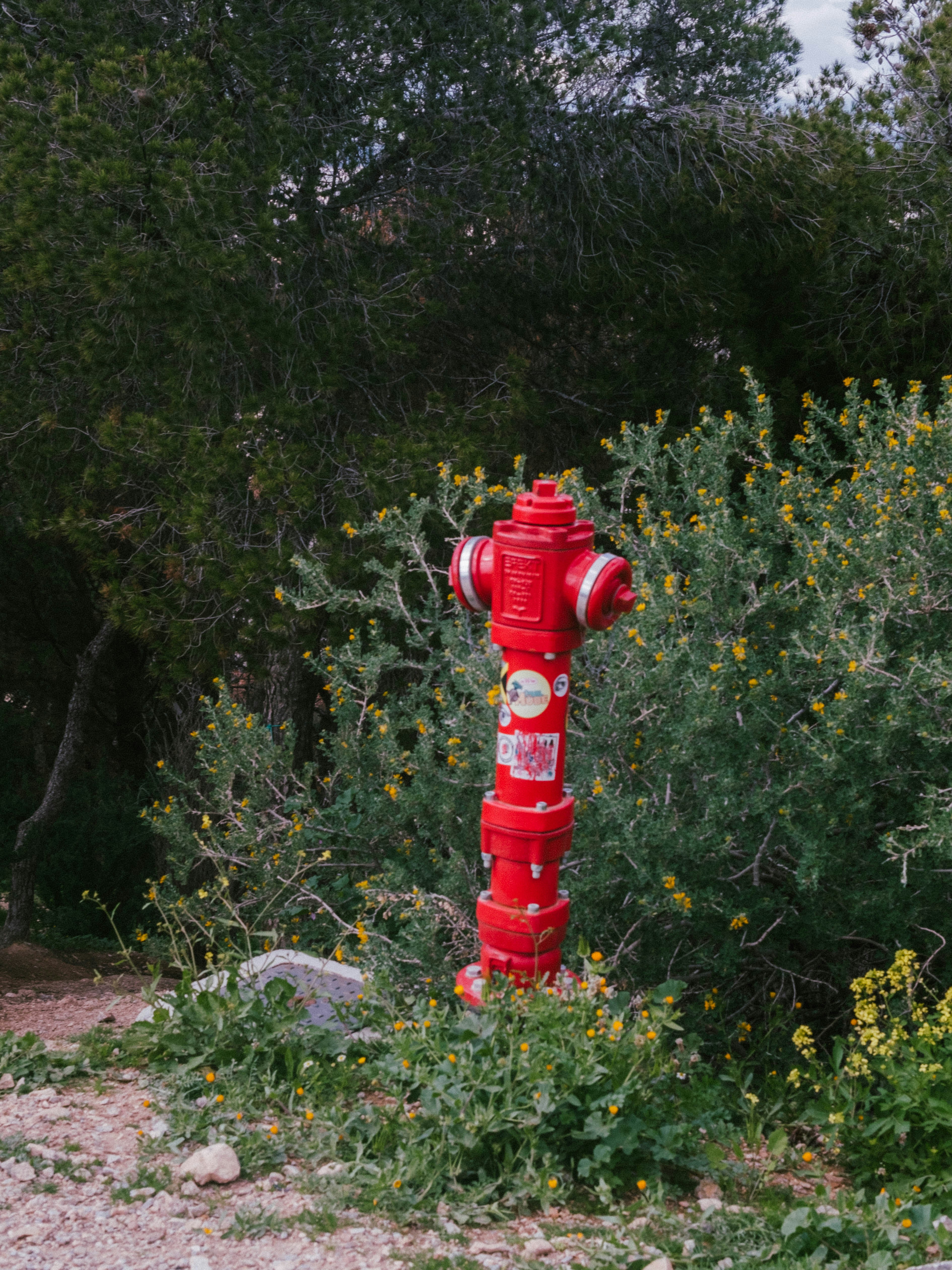 Photo by Iaconi Valentin with Fujifilm X-T20