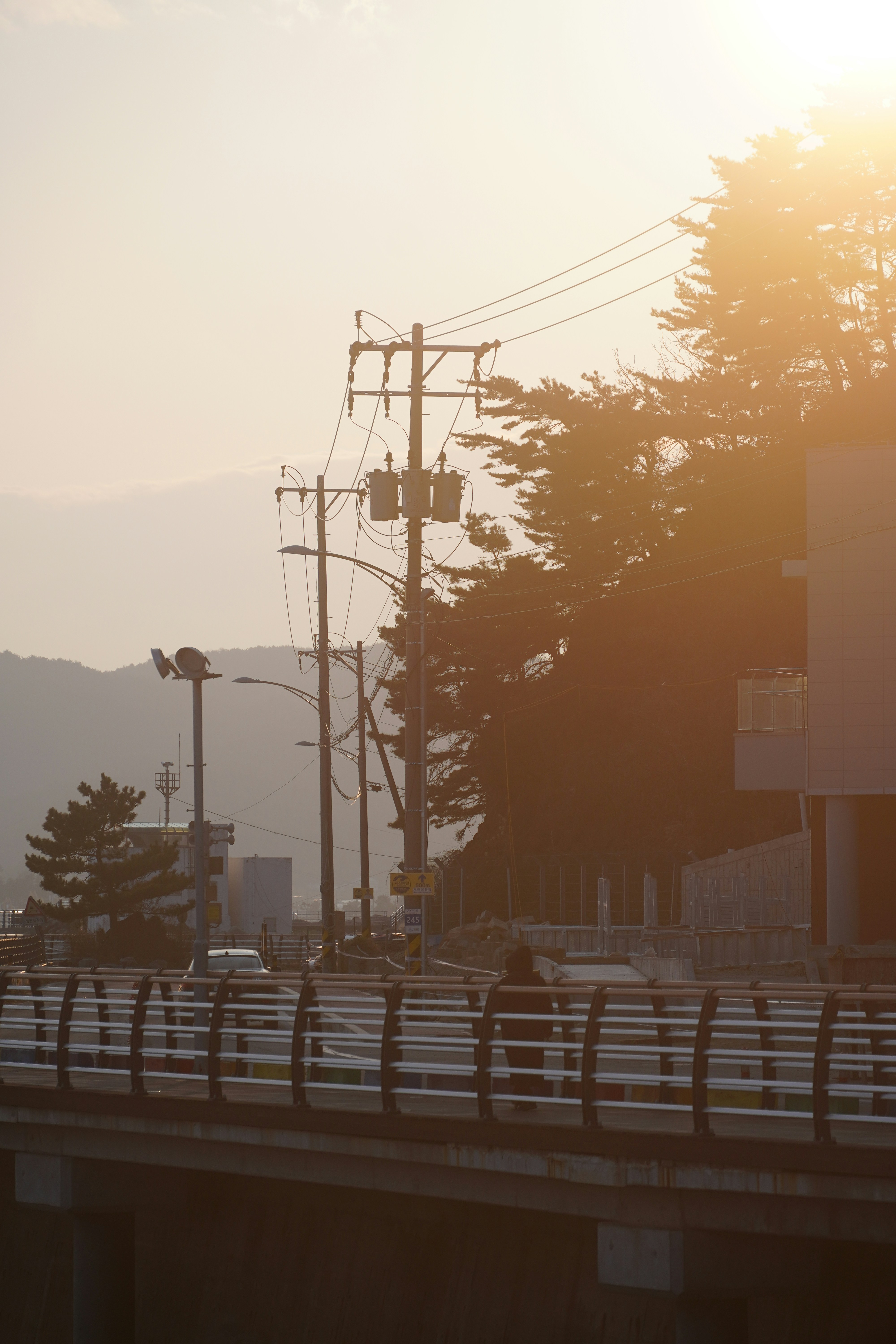 Golden Hour Grid: Overpass, Wires, and Silhouettes