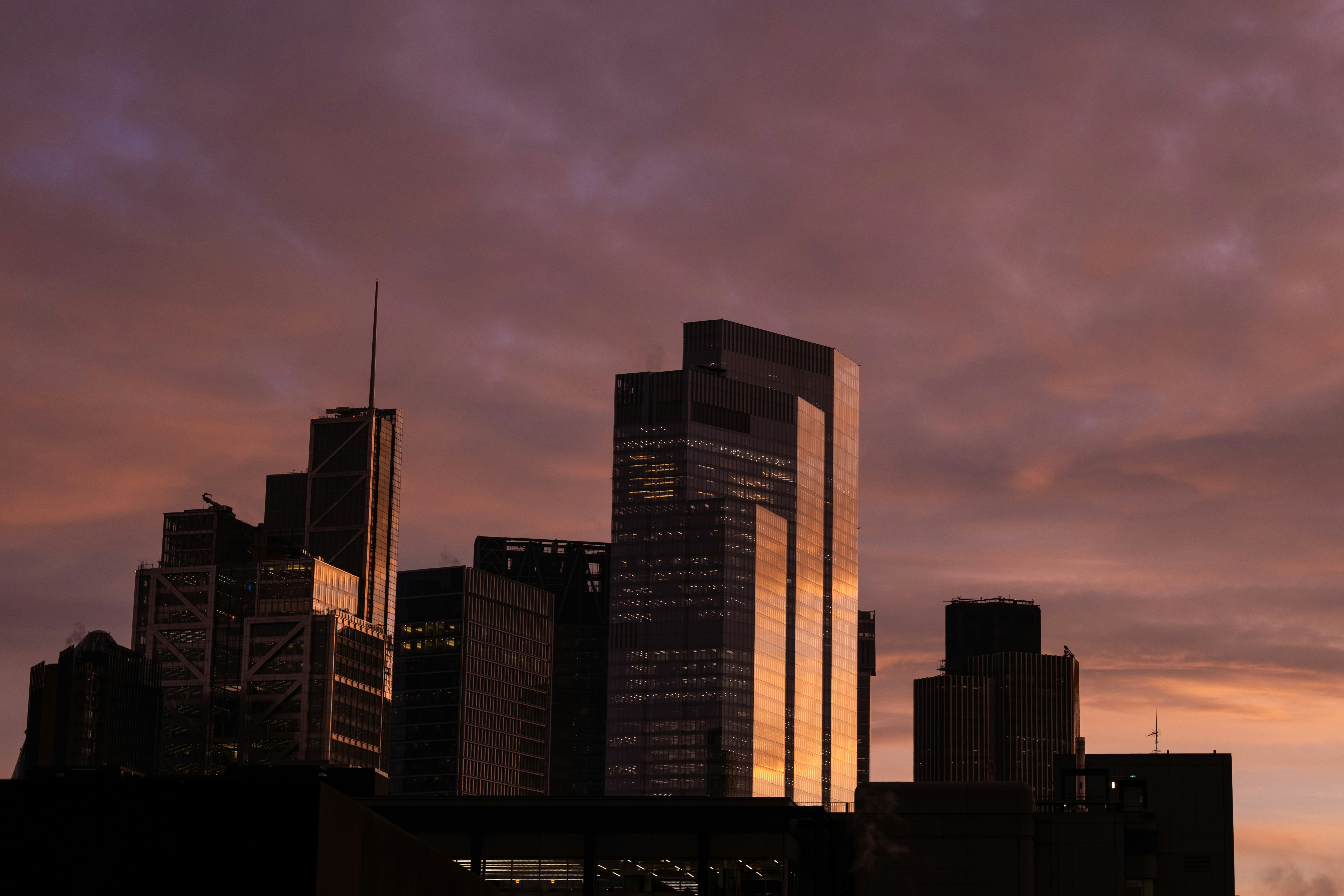 Evening Radiance on Urban Giants