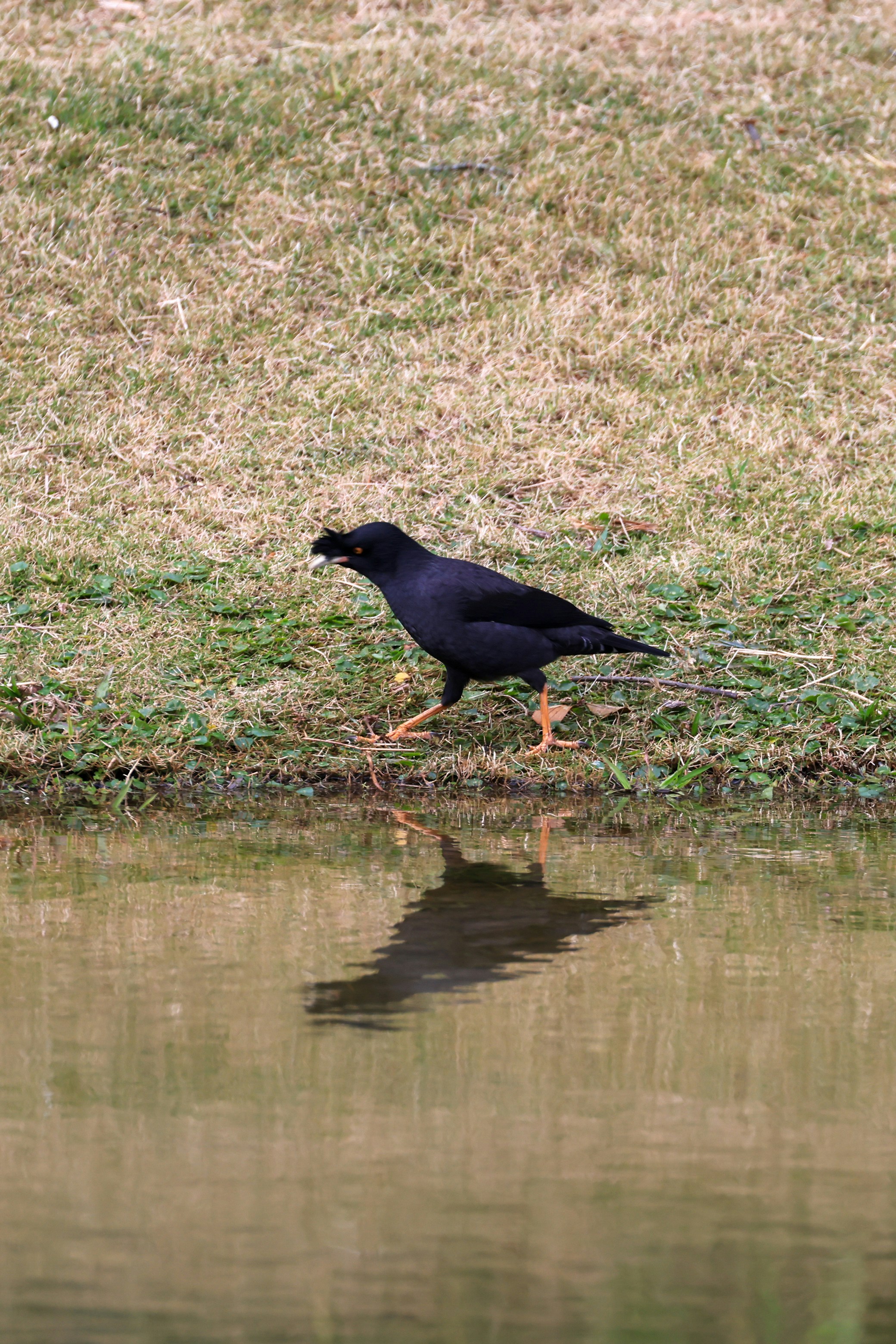 Photo by DL314 Lin with Canon EOS R5