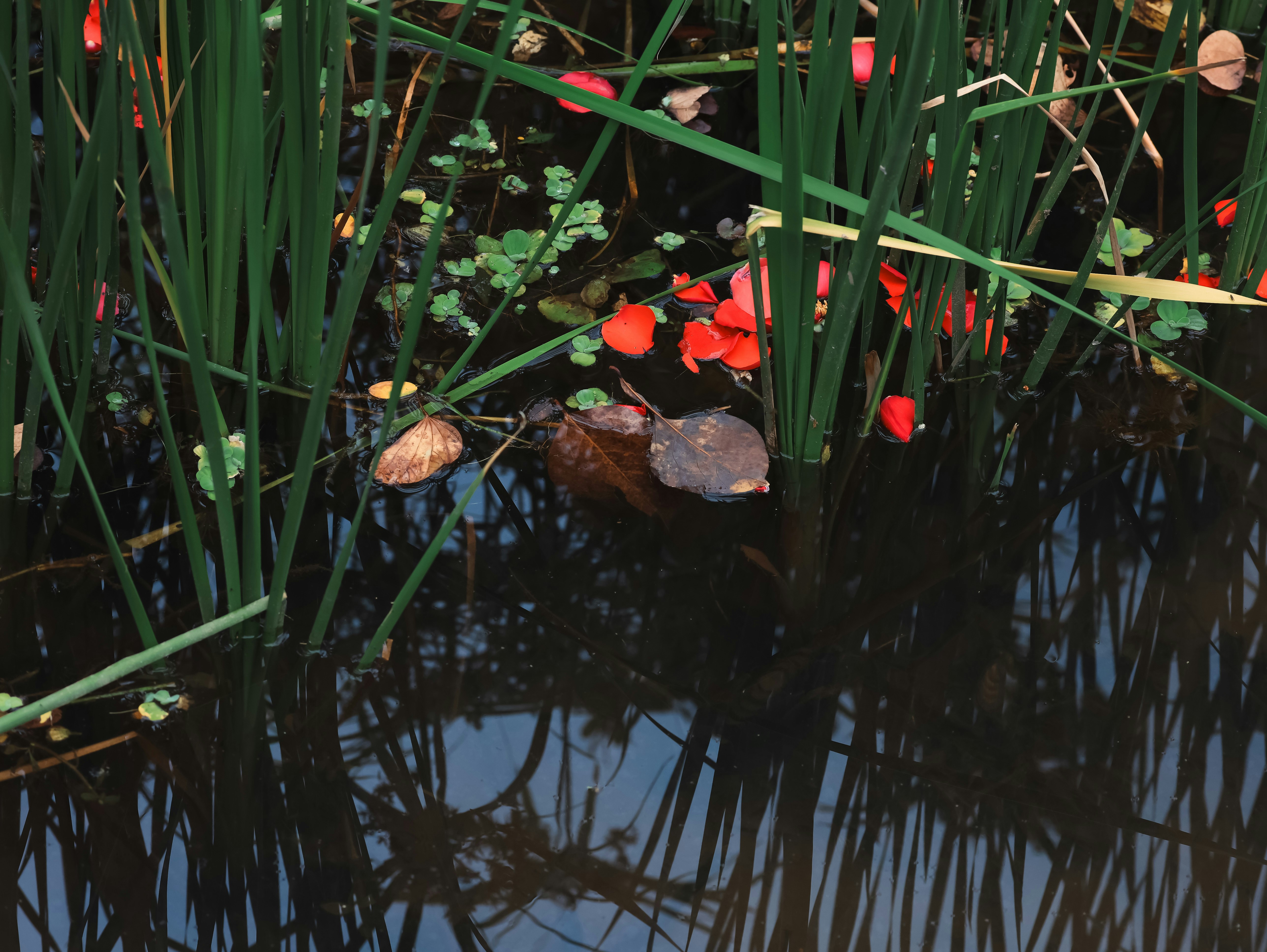 Photo by DL314 Lin with Canon EOS R5