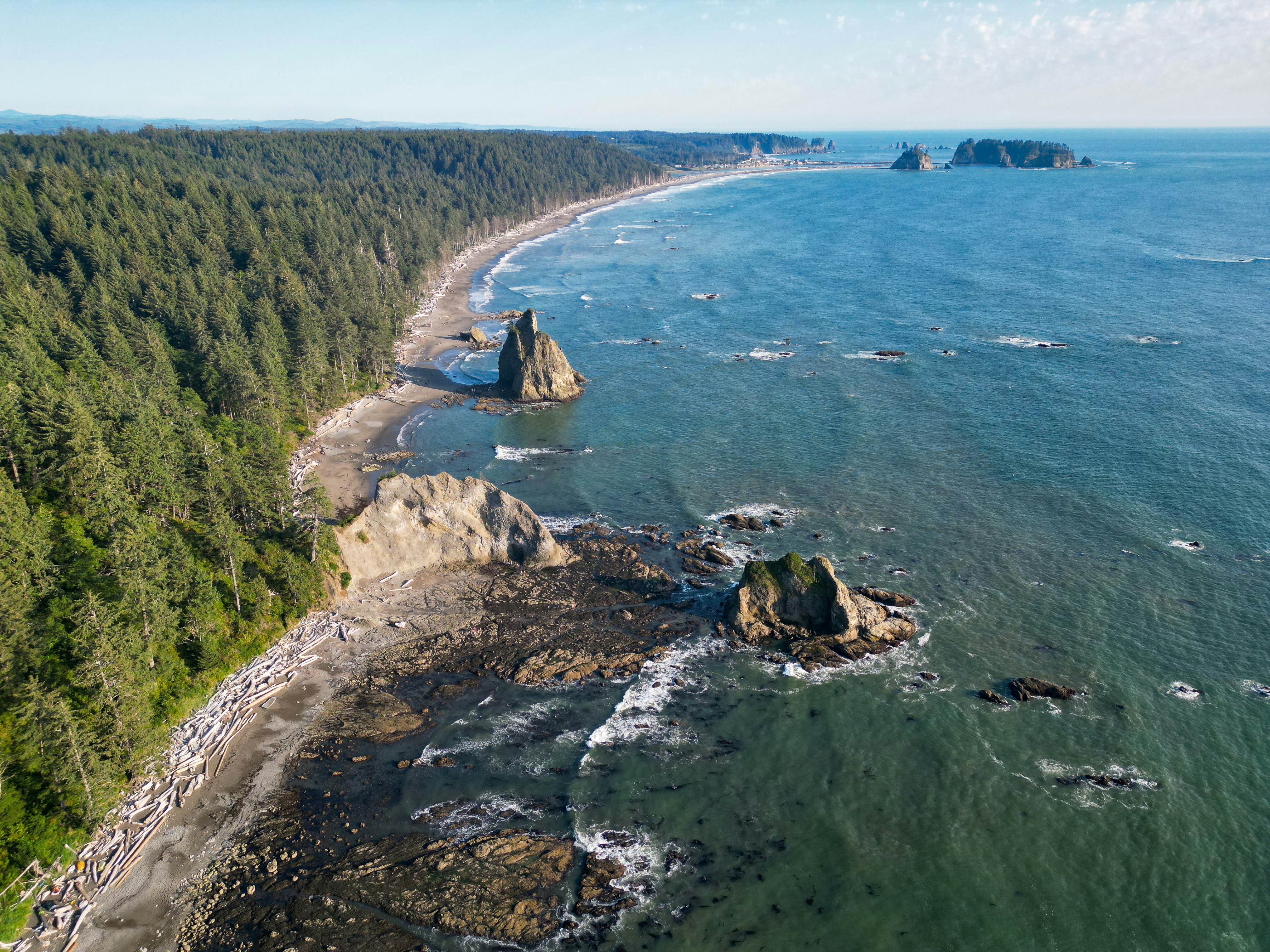 An aerial view of a beach and forested area photo – Free Sea Image on ...