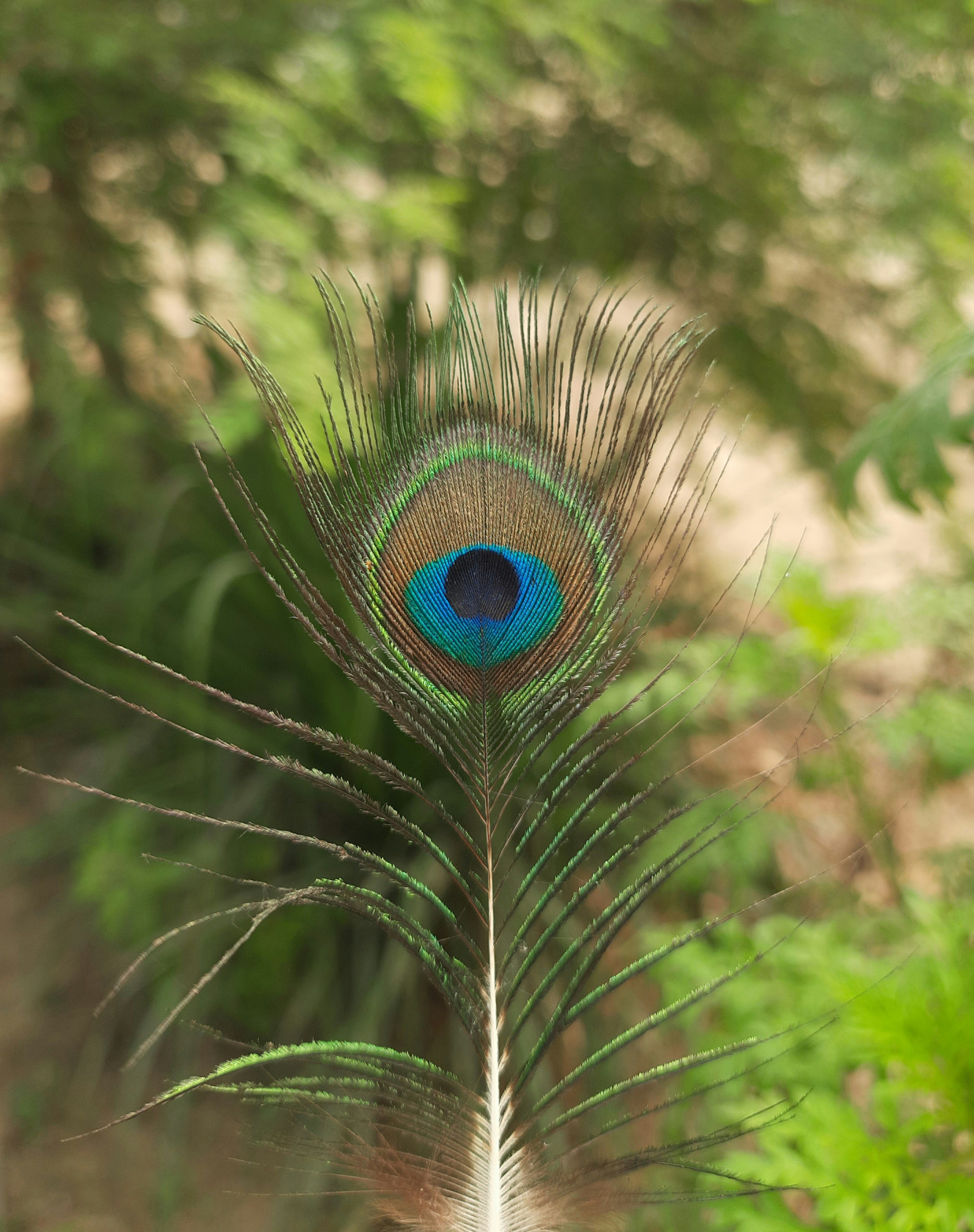 Photo by Adarsh Kumar Singh with Samsung Galaxy M31s