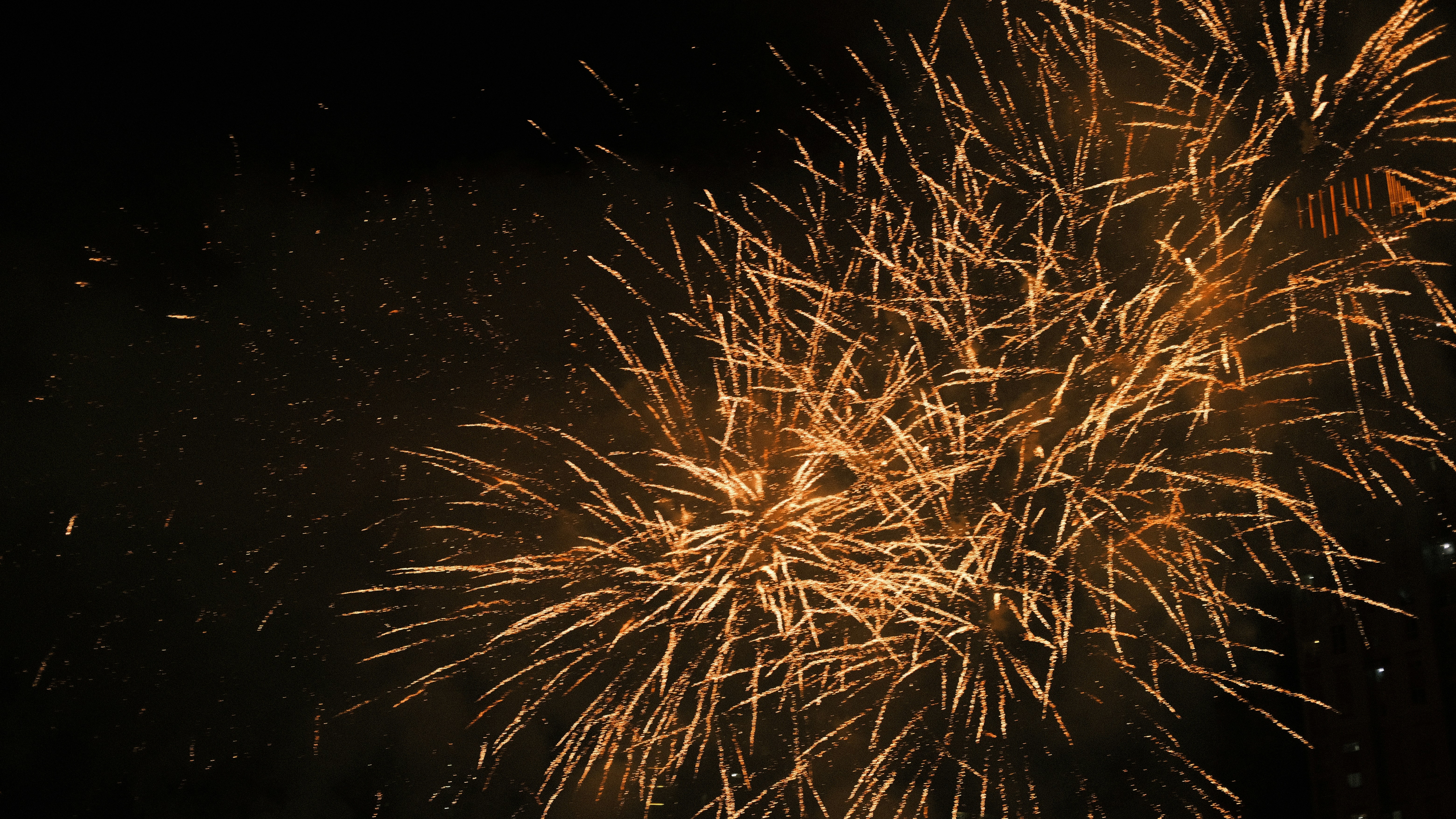 A firework is lit up in the night sky photo – Free Jakarta Image on ...