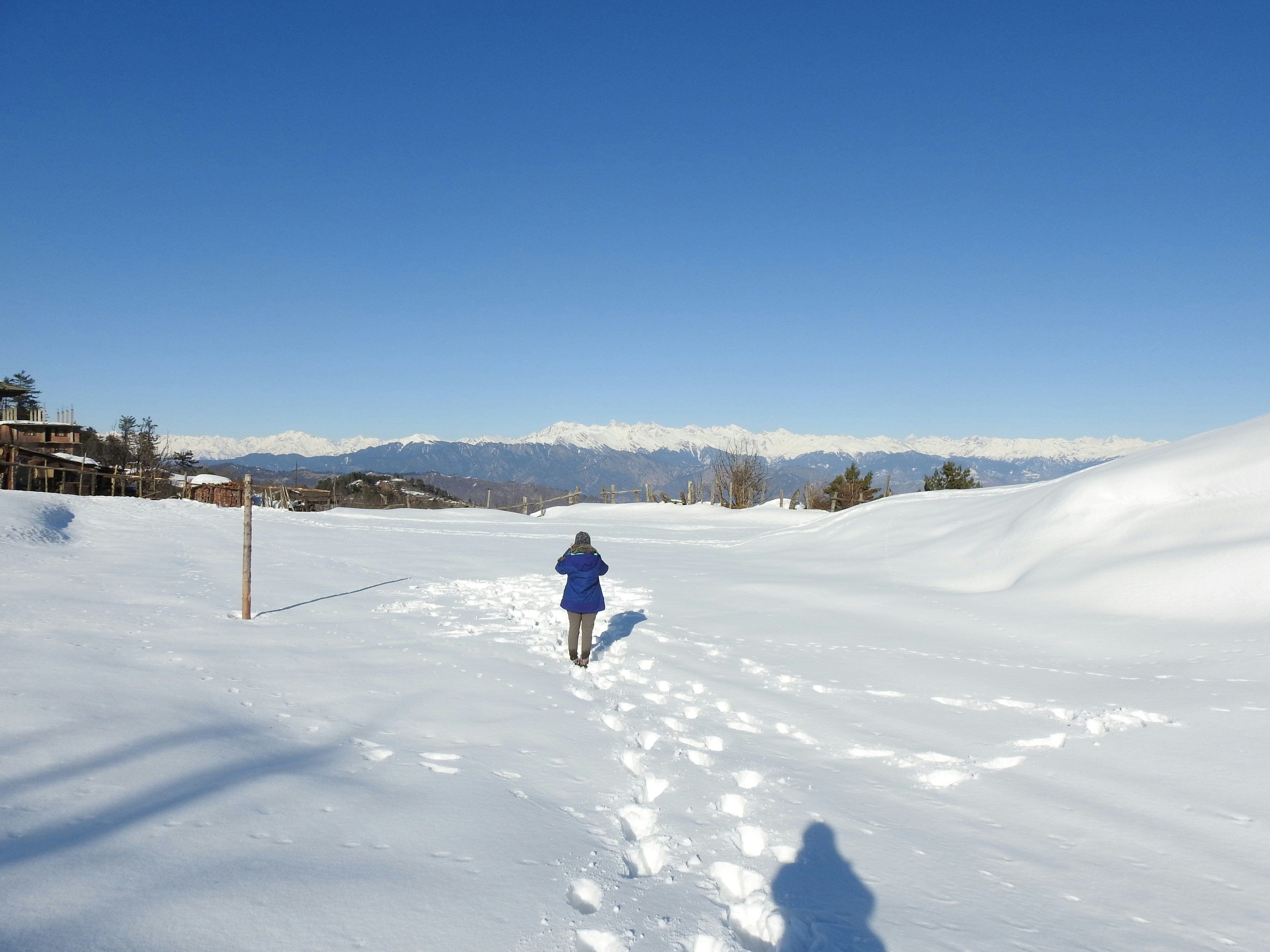 Journey Through the Silent Snowscape