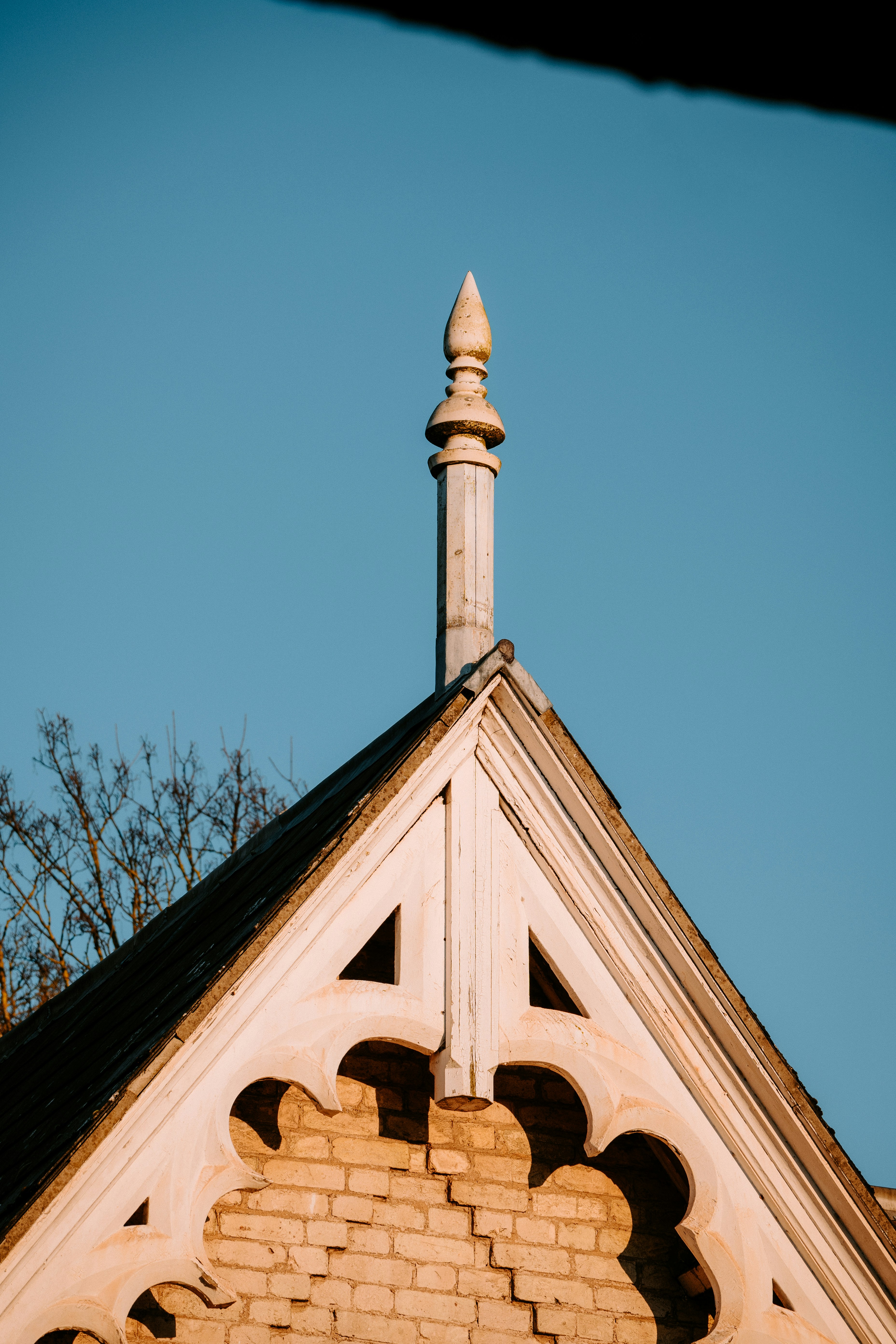 Photo by Mark Hamilton with Nikon Z30