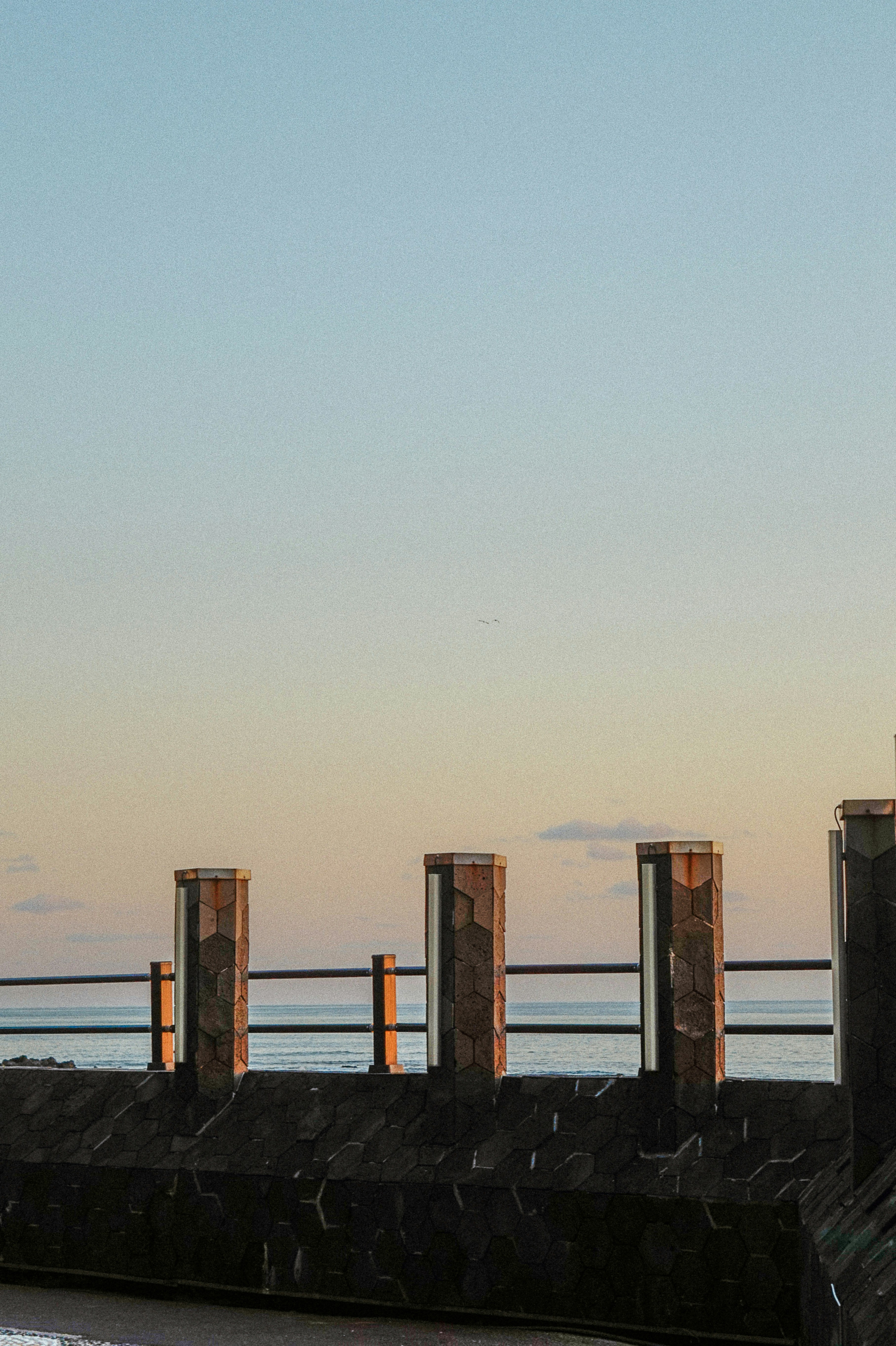 Twilight Silhouettes by the Shore