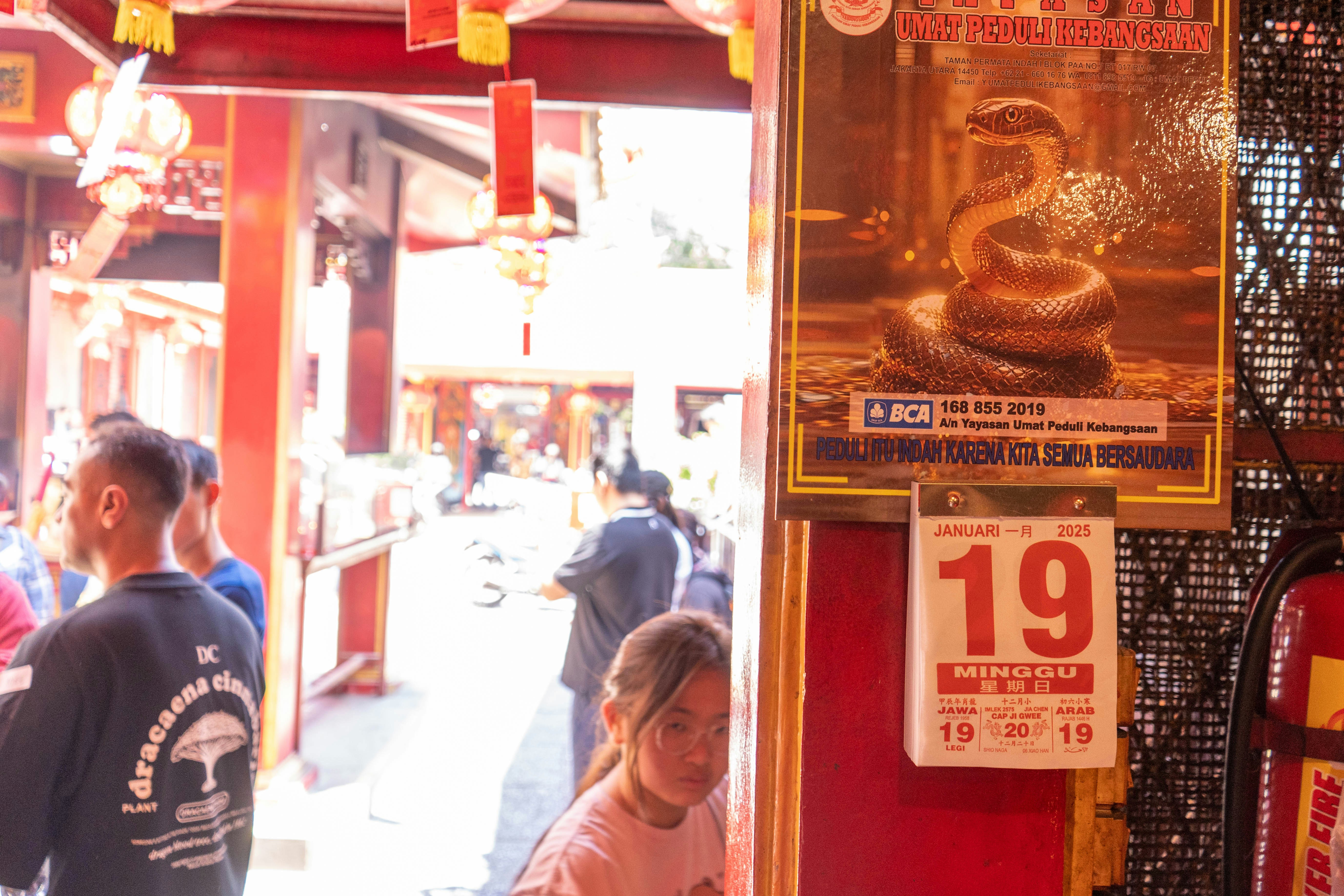 Lantern-Lit Alley Portrait: A Pink-Shirt Girl Amid Red Walls and Hanging Signs