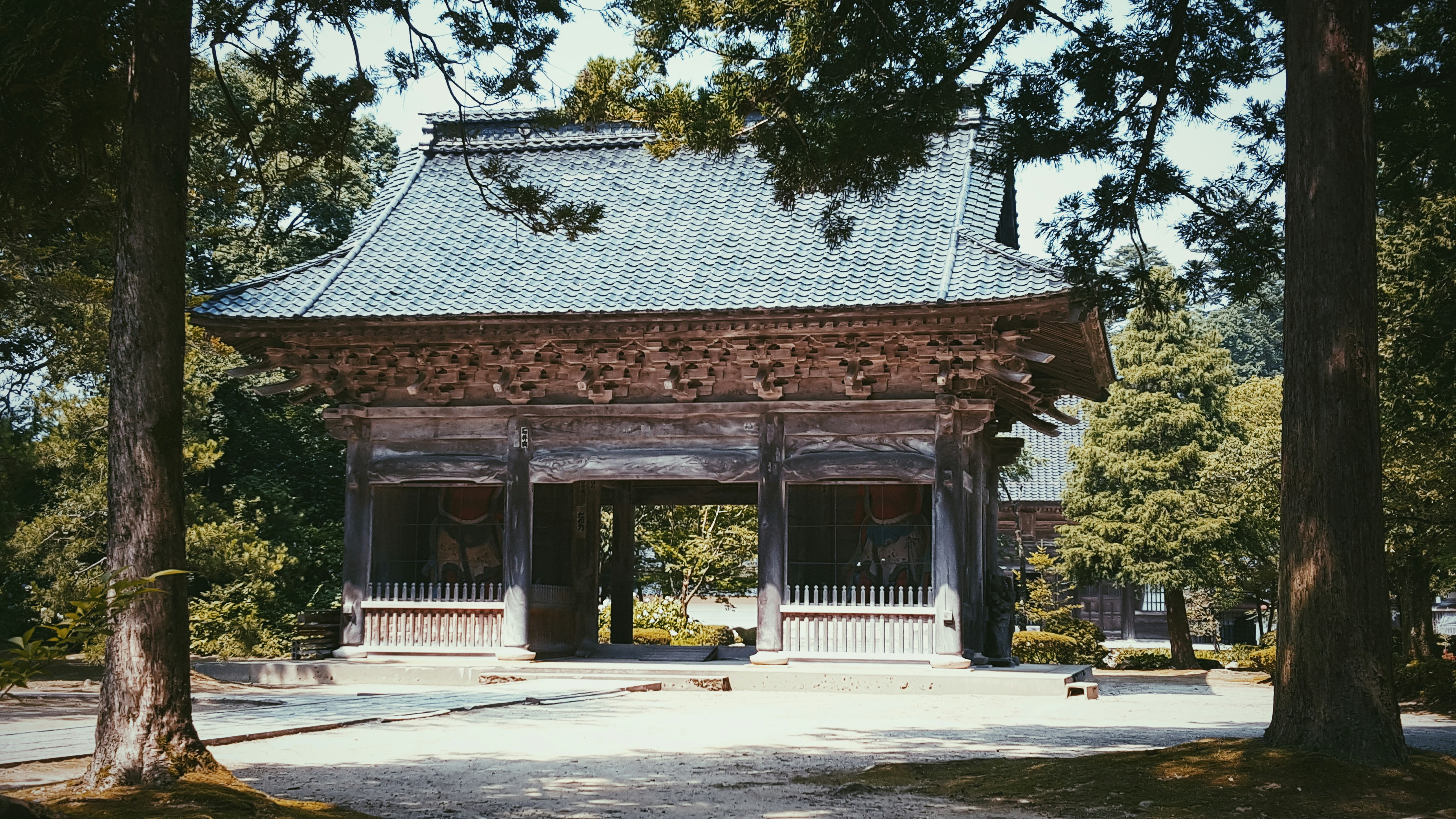 Traditional wooden gate framed by towering pines sits in a sunlit shrine park, with a tranquil courtyard beyond. The composition emphasizes architecture against the natural surroundings.