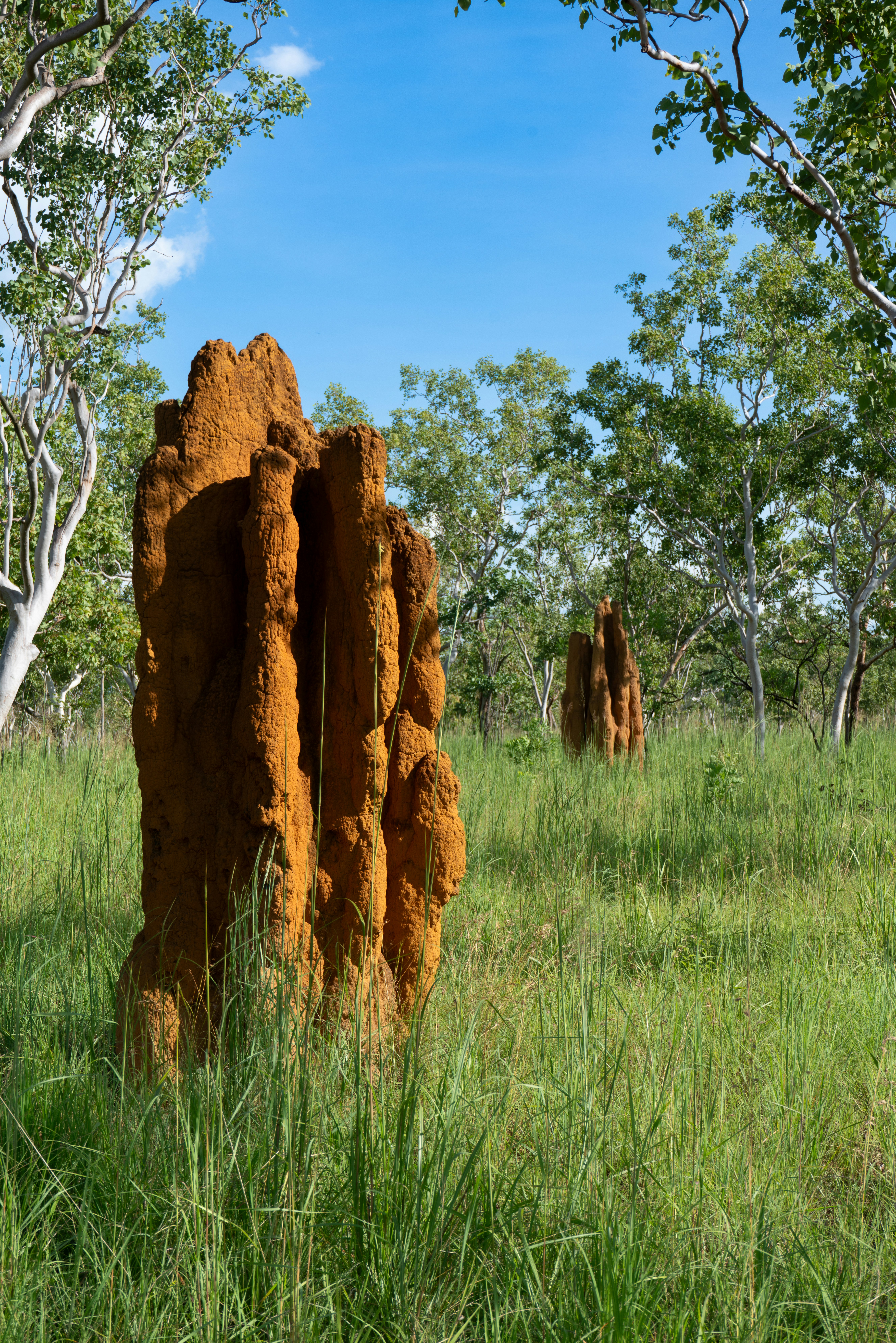 Photo by Adam Greer with Sony Alpha 7R III