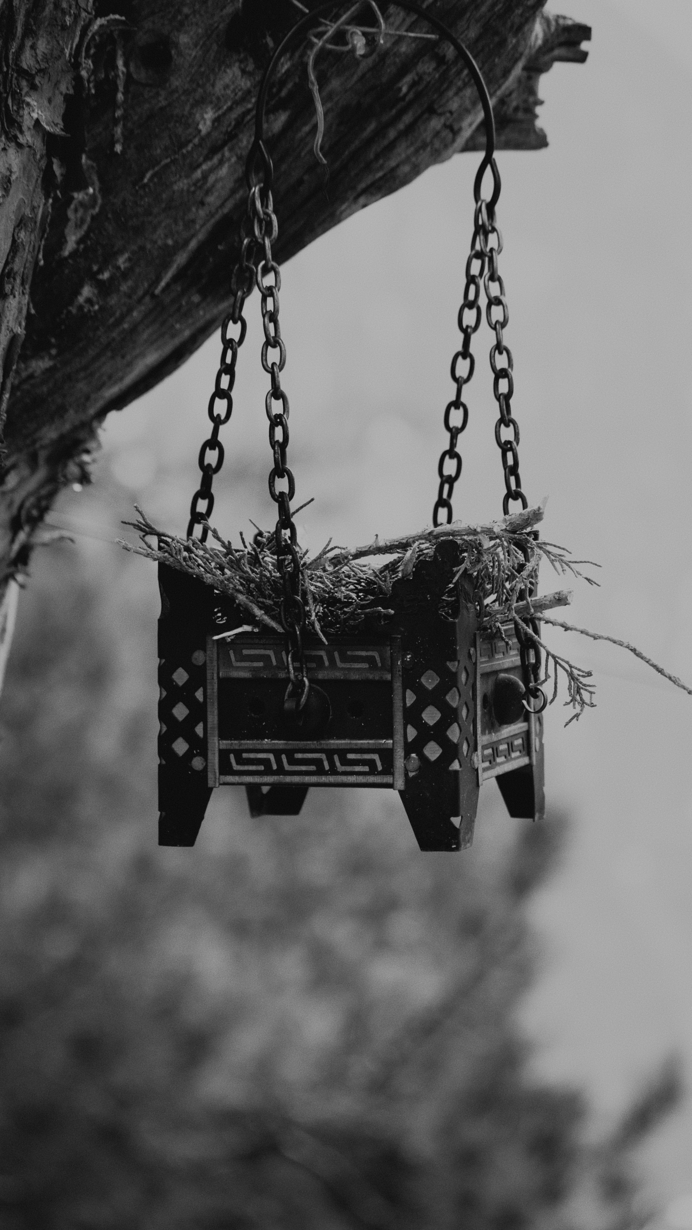 Frayed Chains, Carved Gravity: A Quiet Swing in Monochrome