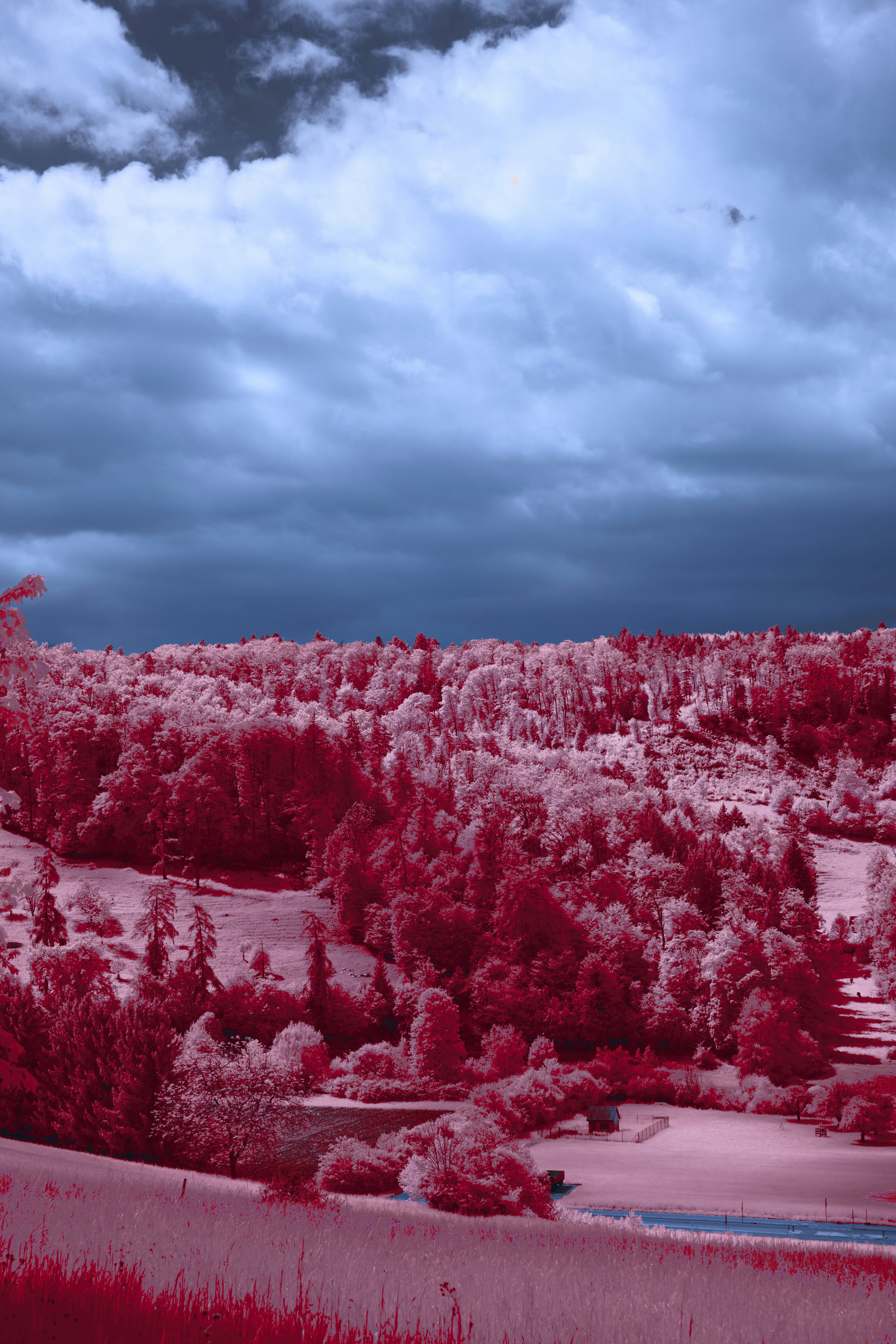 Infrared infrared infrared infrared infrared infrared infrared infrared ...