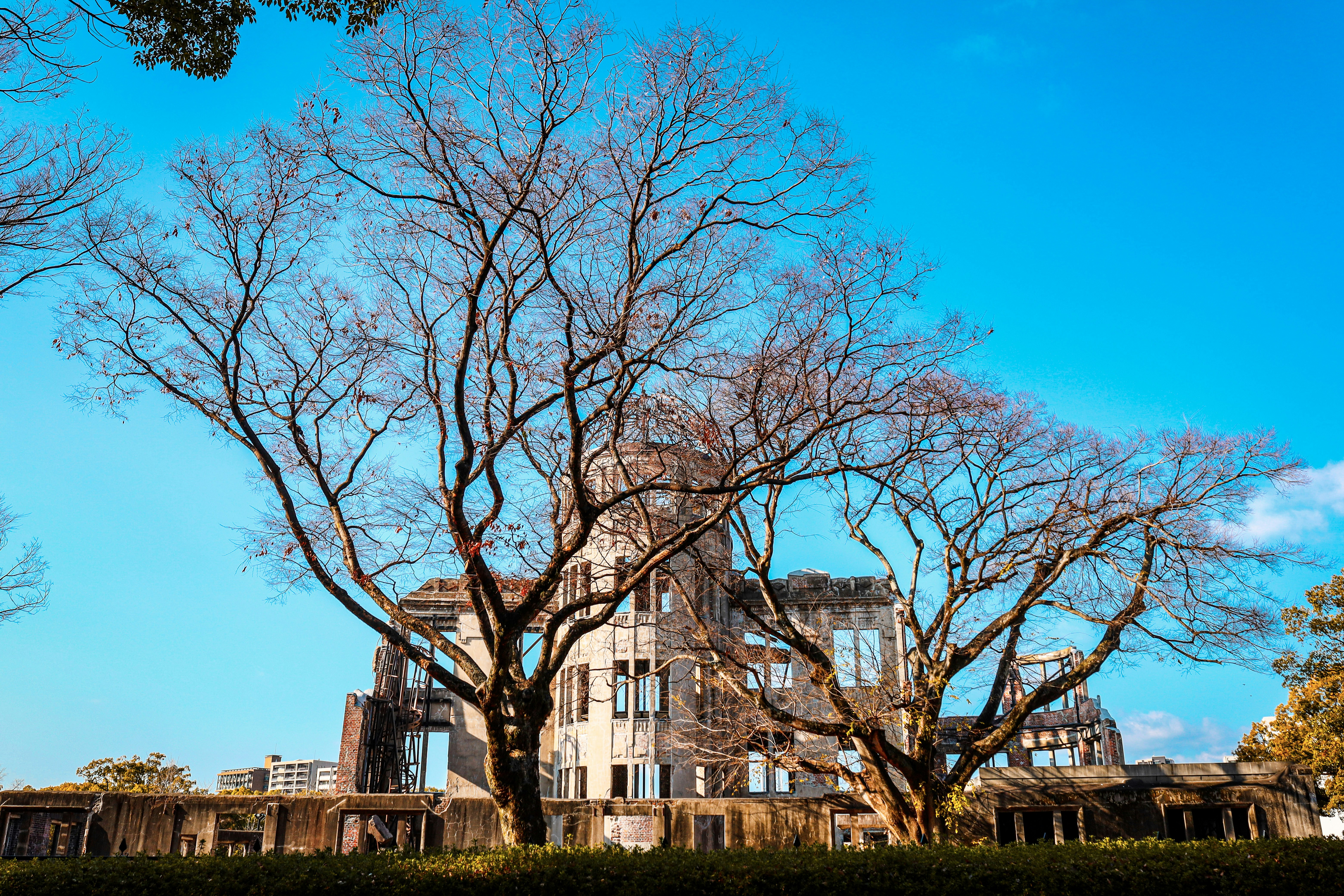 Bare trees frame the Hiroshima Peace Memorial against a vibrant blue sky.