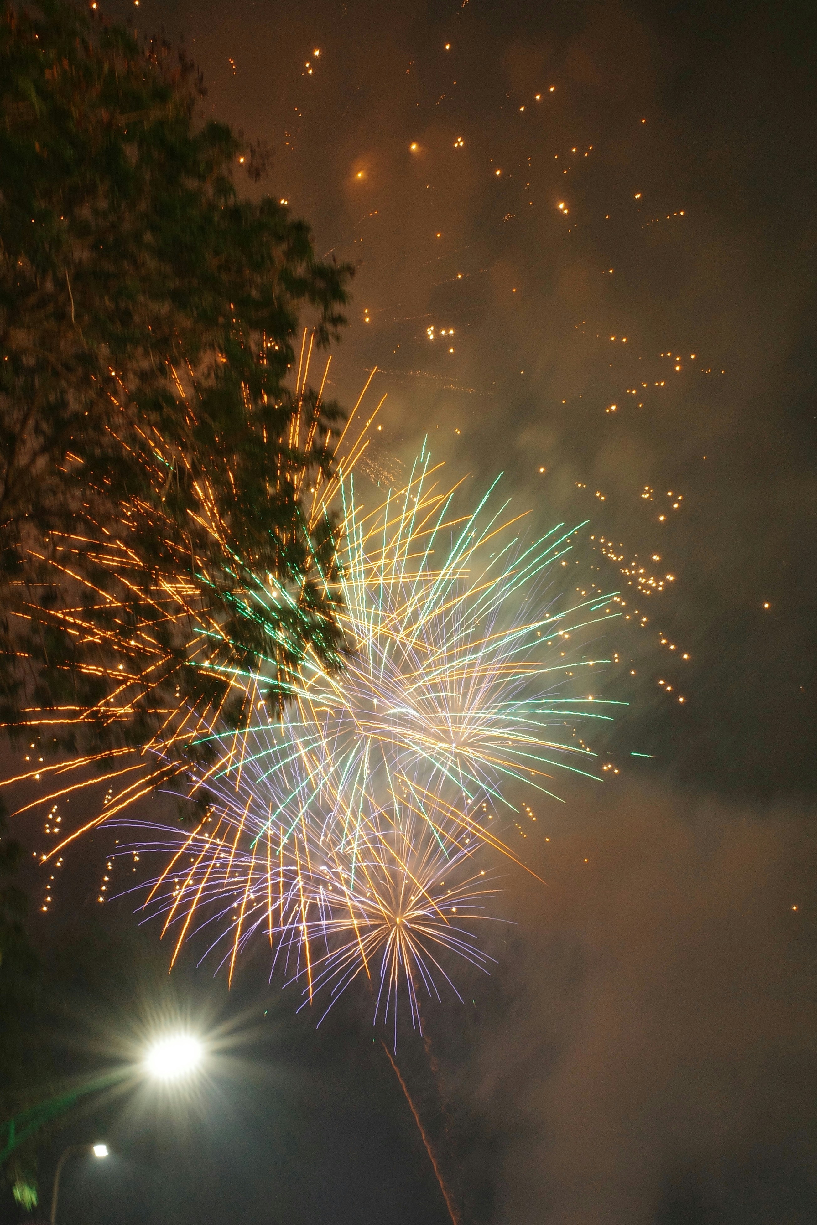 A large fireworks display in the night sky photo – Free Plant Image on ...