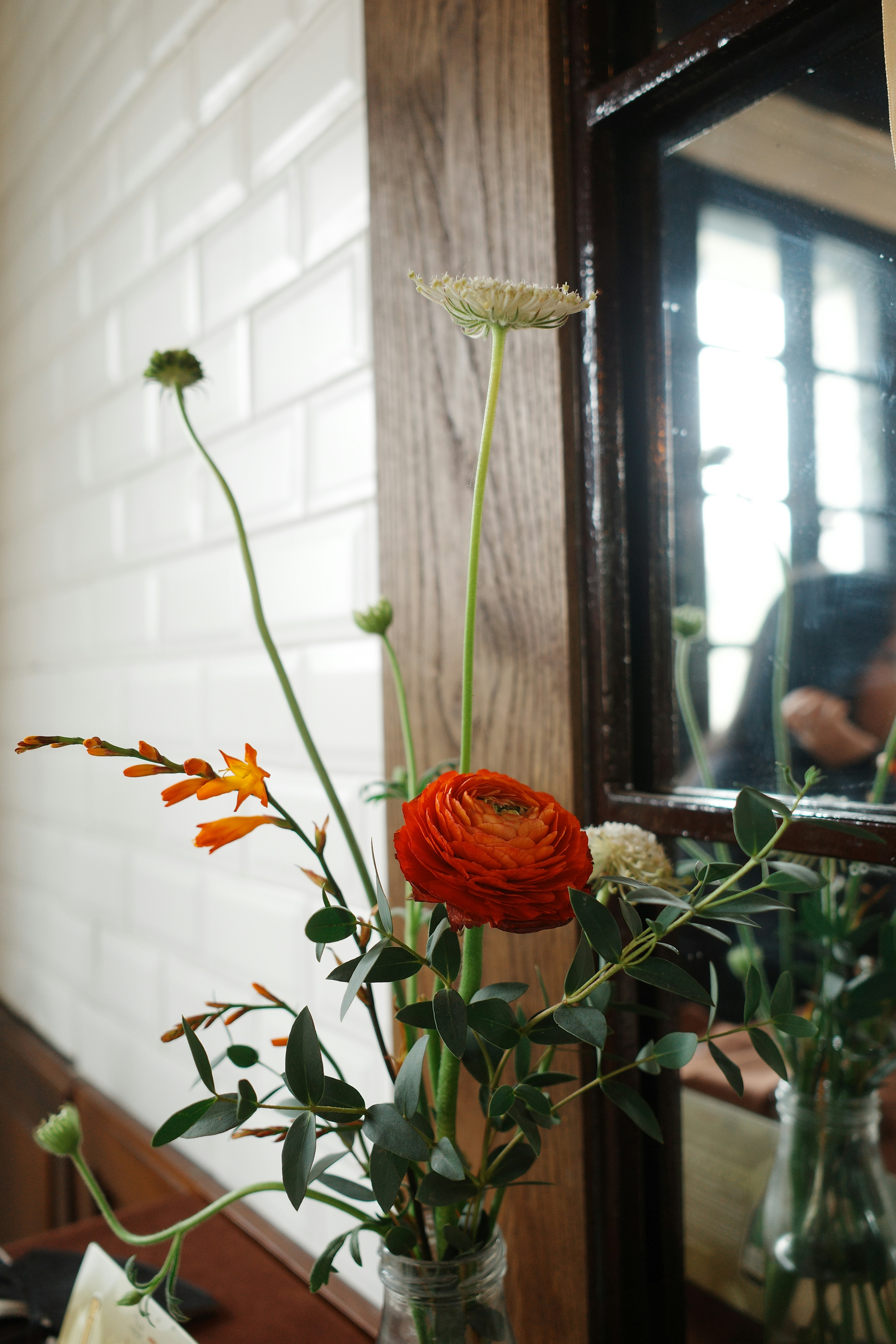 Crimson bloom among glass and white tiles