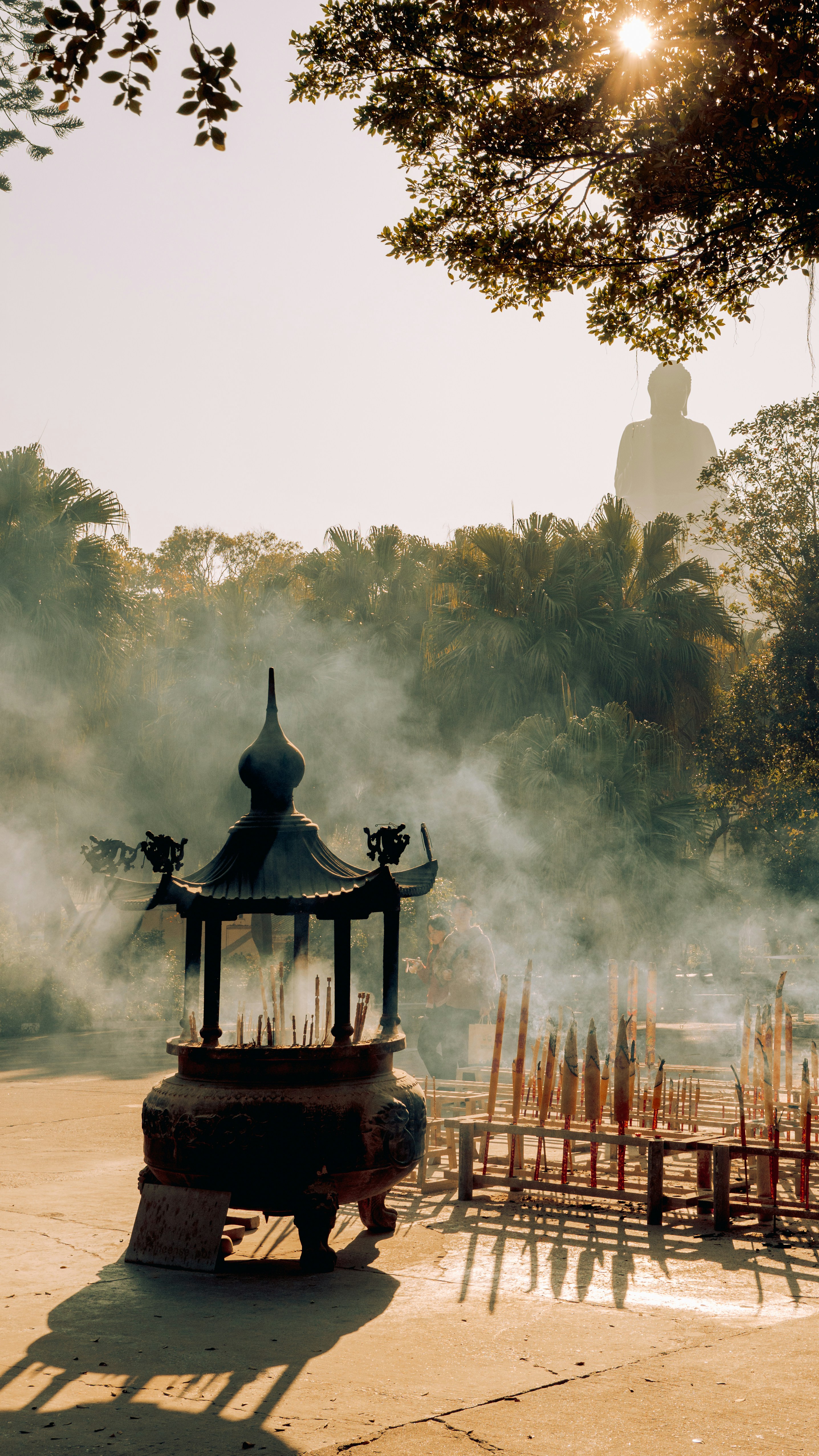 Dappled Dawn: Incense, Smoke, and a Quiet Buddha