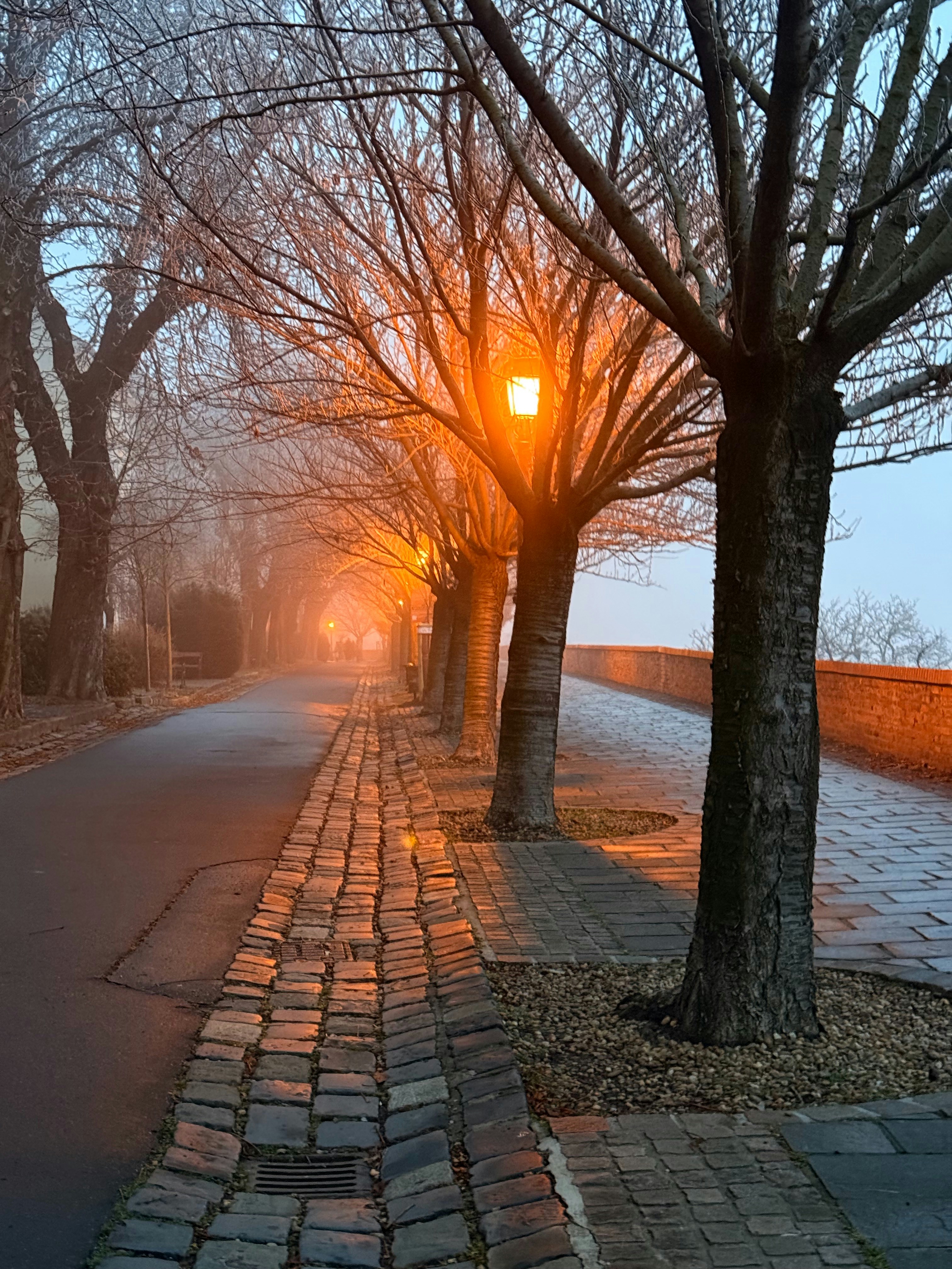 Amber Lanterns Along a Fog-Wreathed Cobblestone Promenade