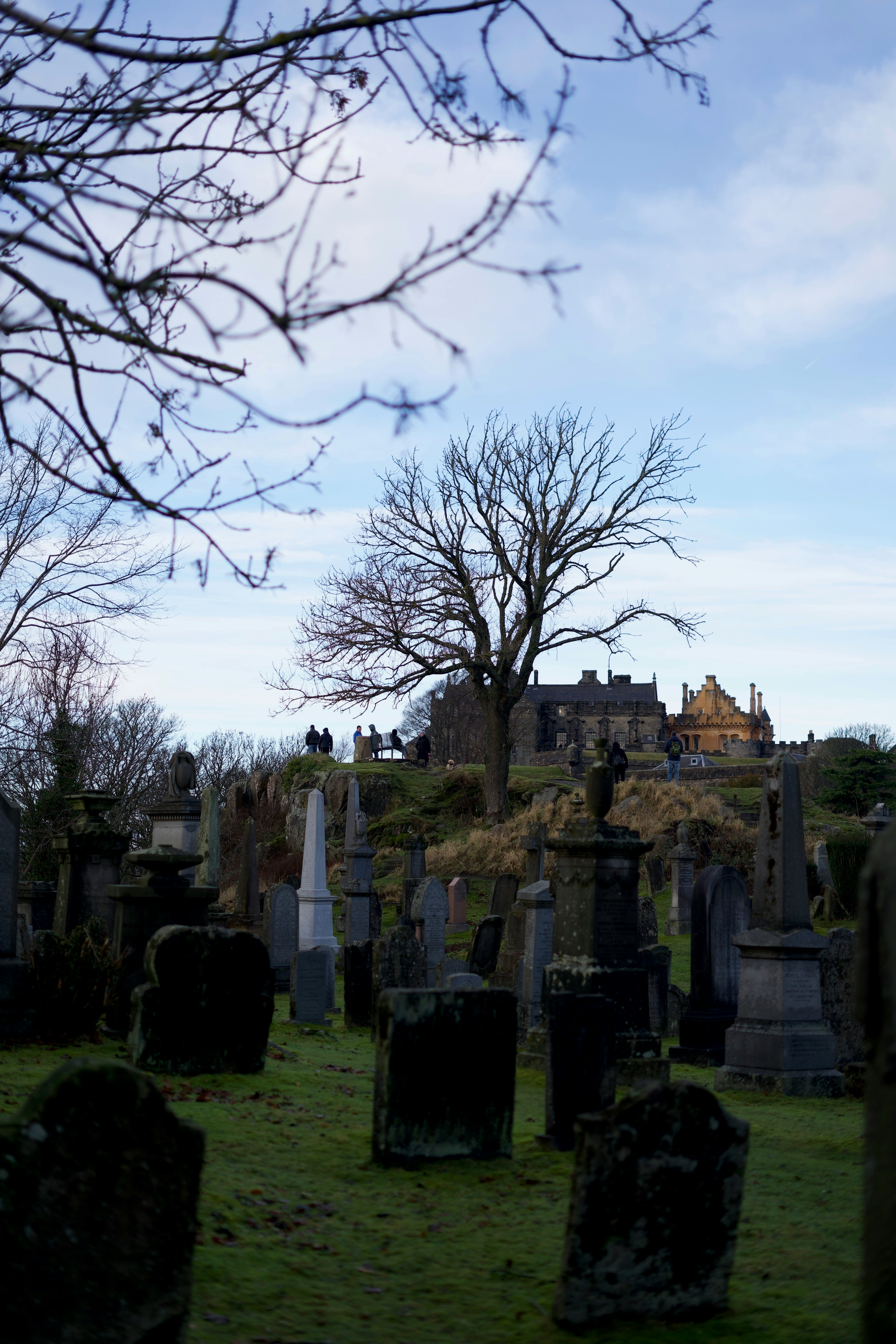 Winter Silence Over a Hilltop Cemetery Framed by a Sentinel Tree