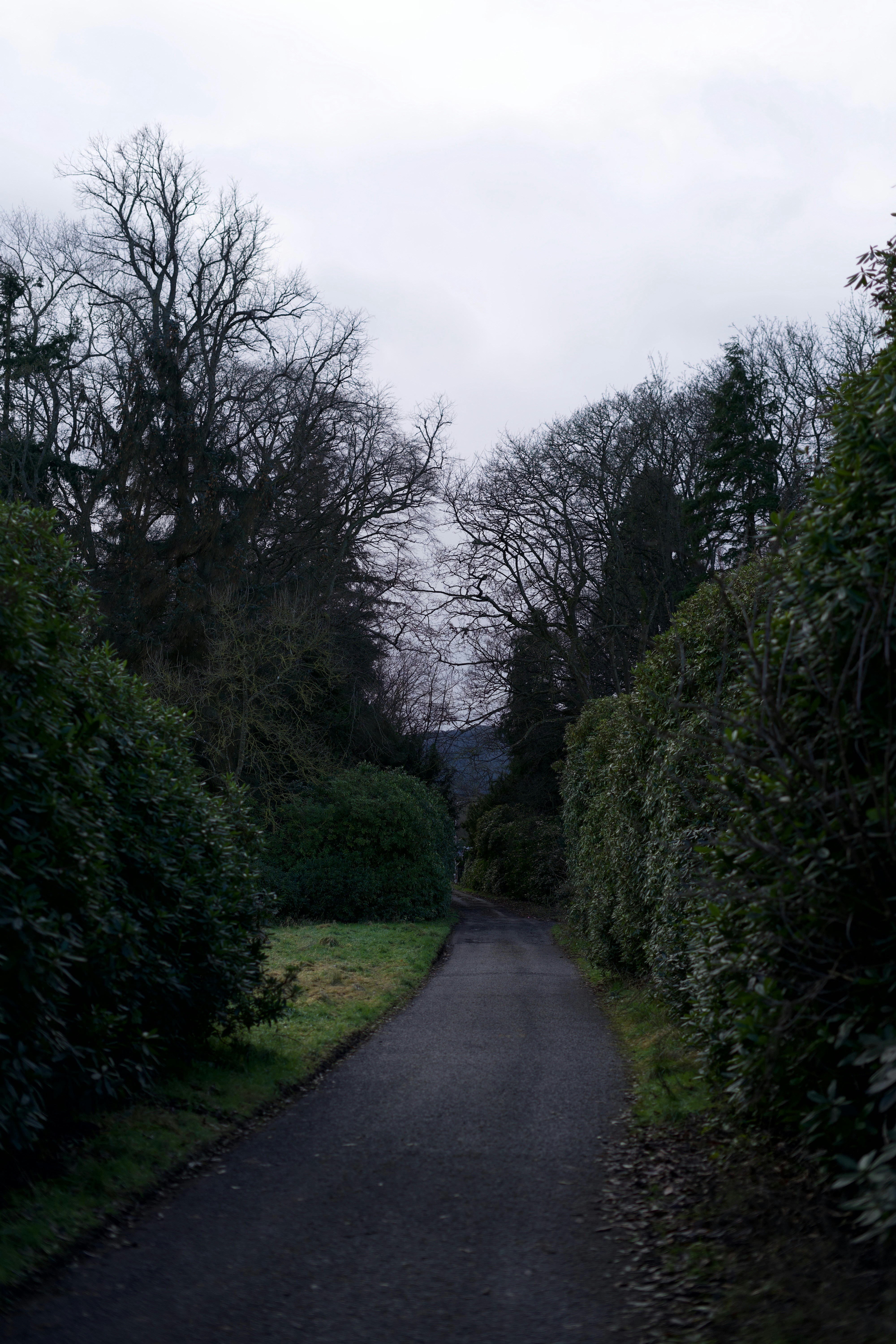 Photo by Kristen Verity Amm with Sony Alpha 7 III