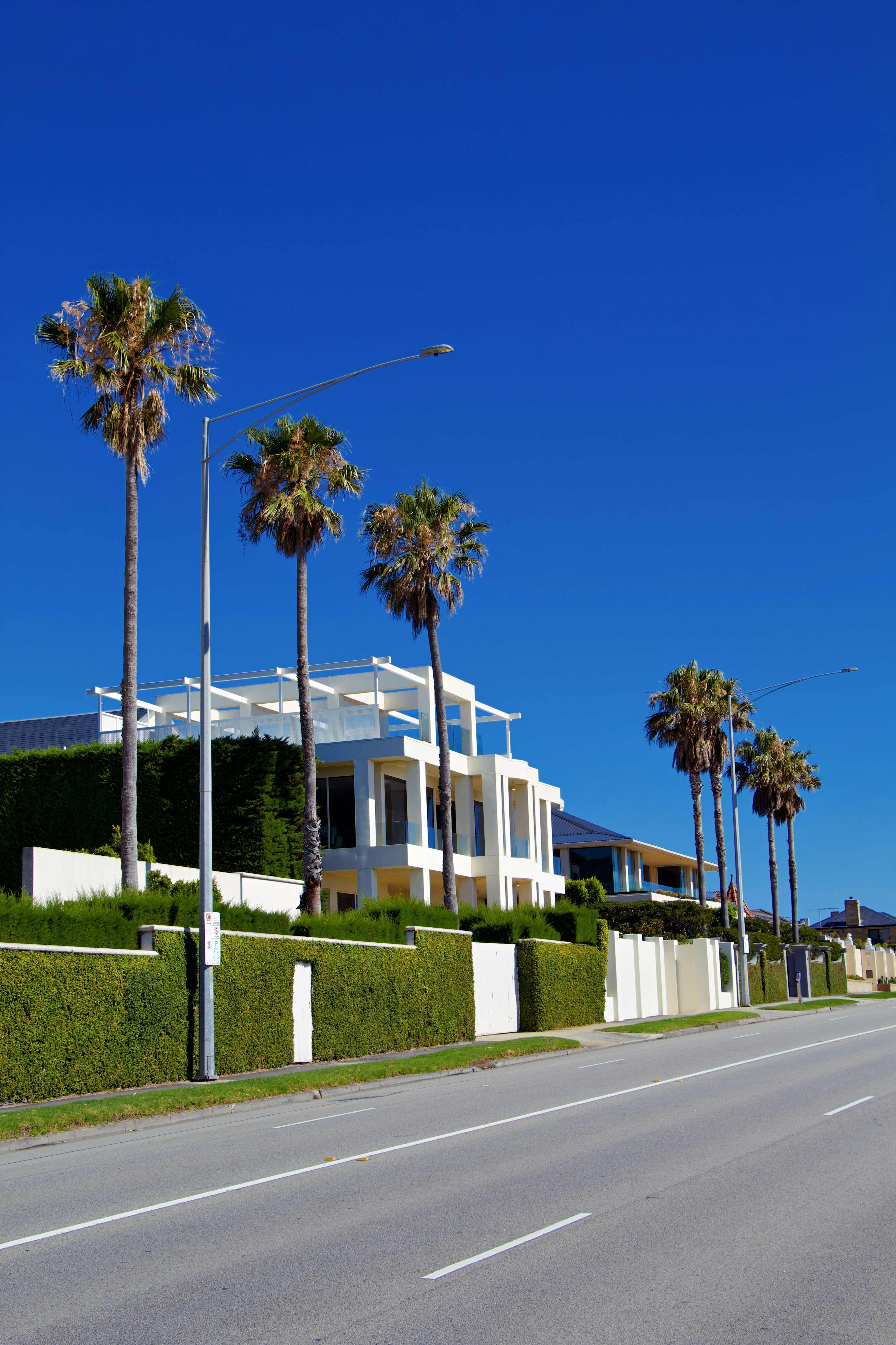 A street lined with palm trees next to a white building photo – Free ...