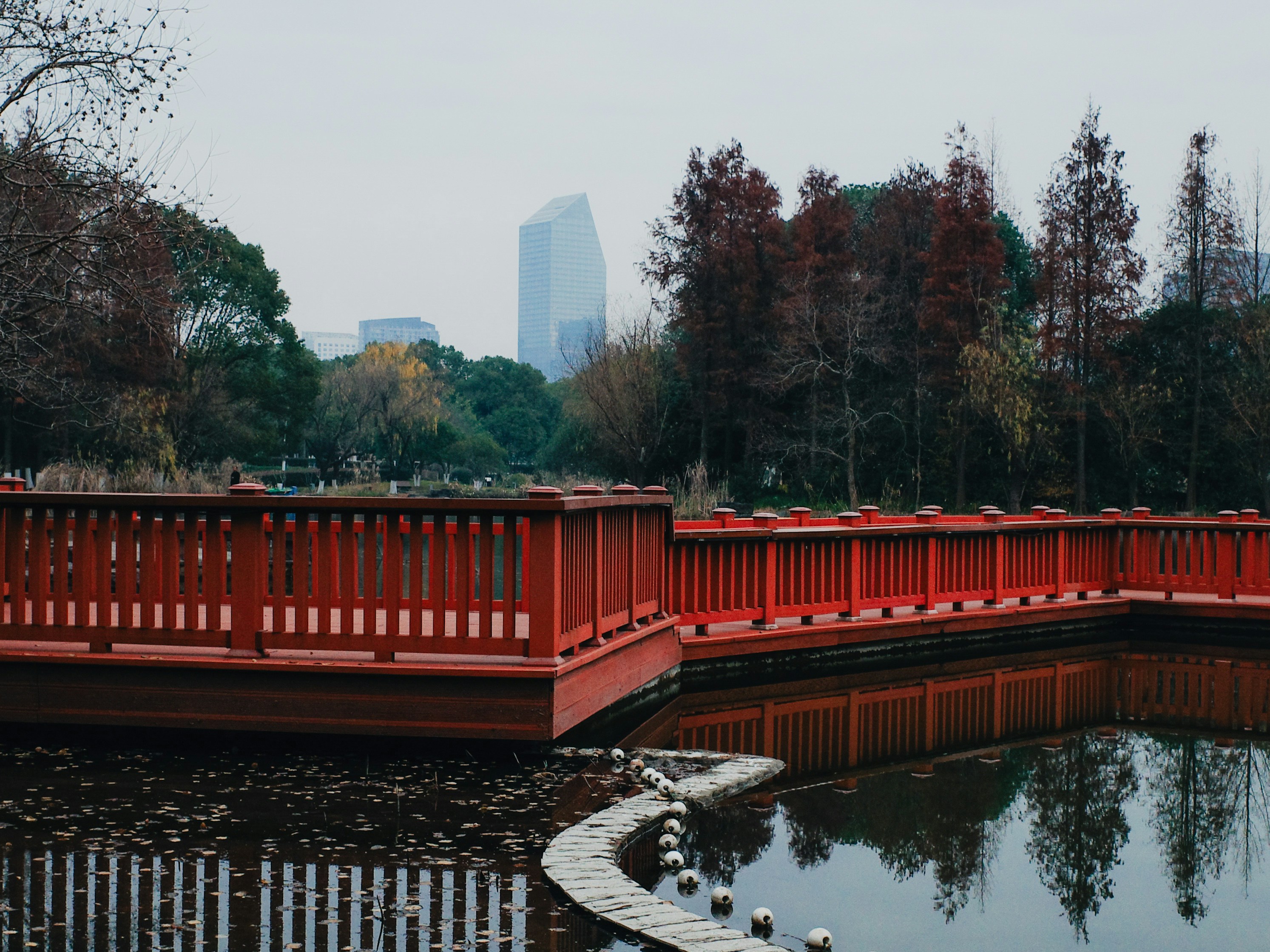 A red bridge over a pond in a park photo – Free Nature Image on Unsplash