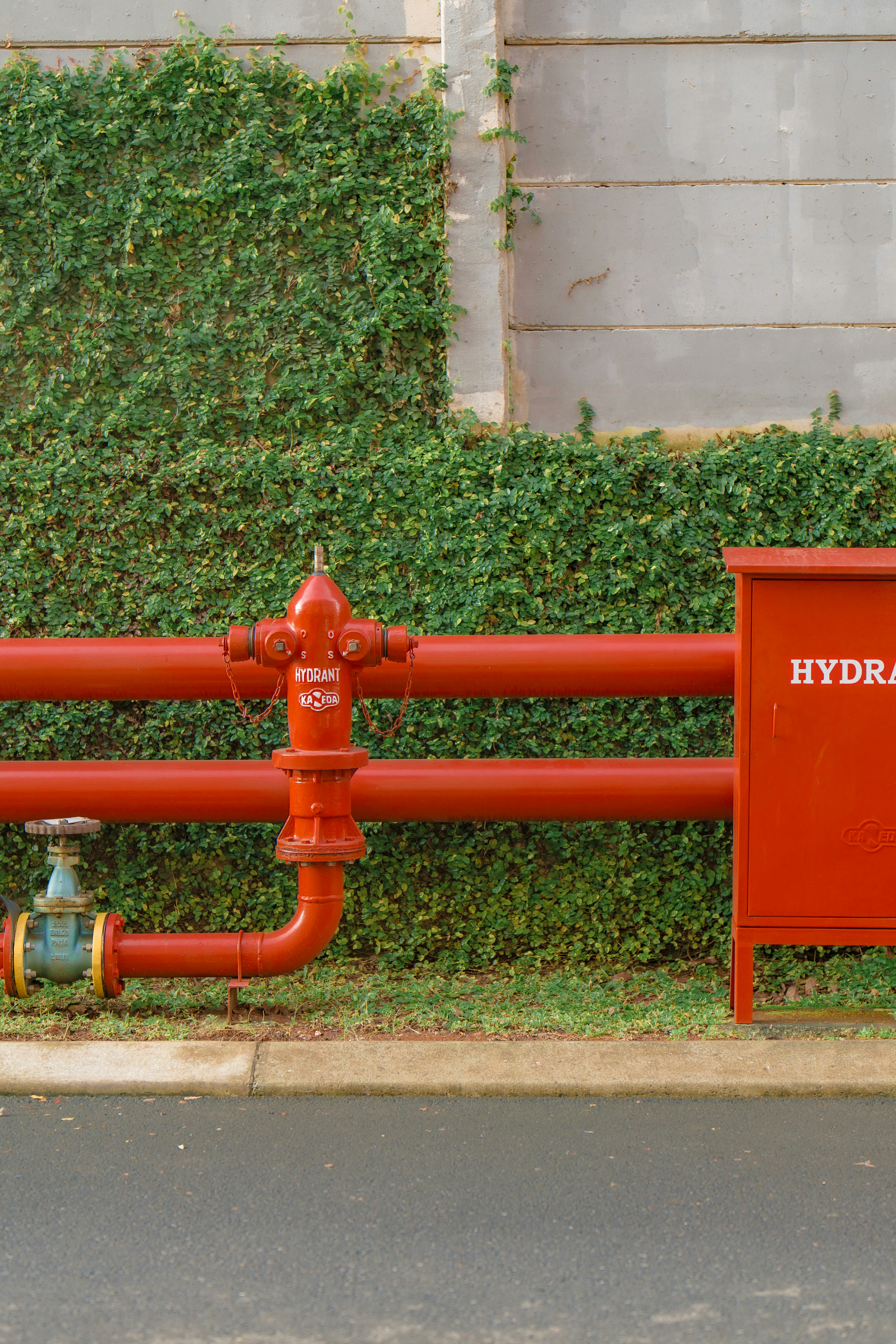 A red fire hydrant sitting next to a red fire hydrant photo – Free Fire ...