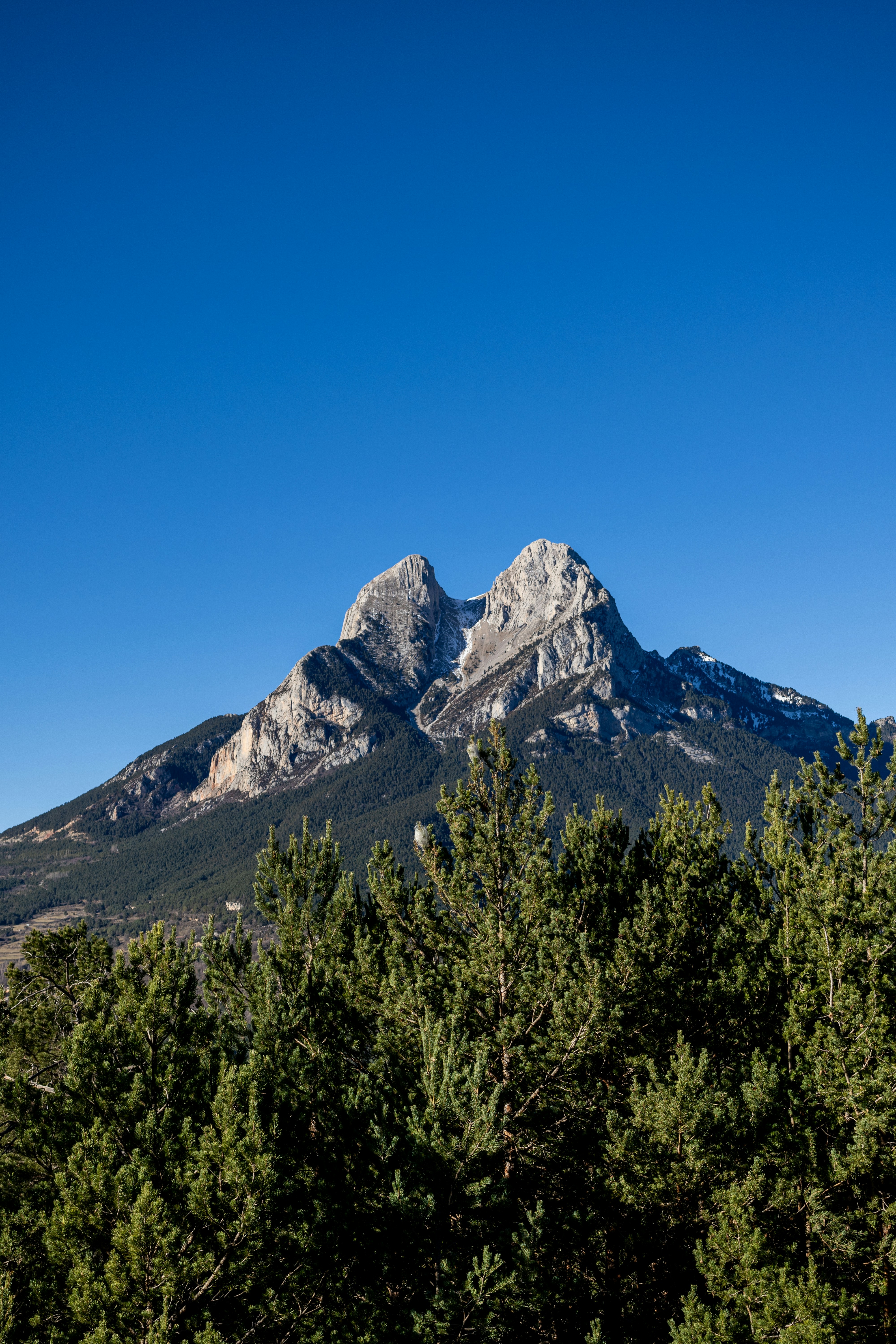 Twin Peaks Under a Cerulean Sky