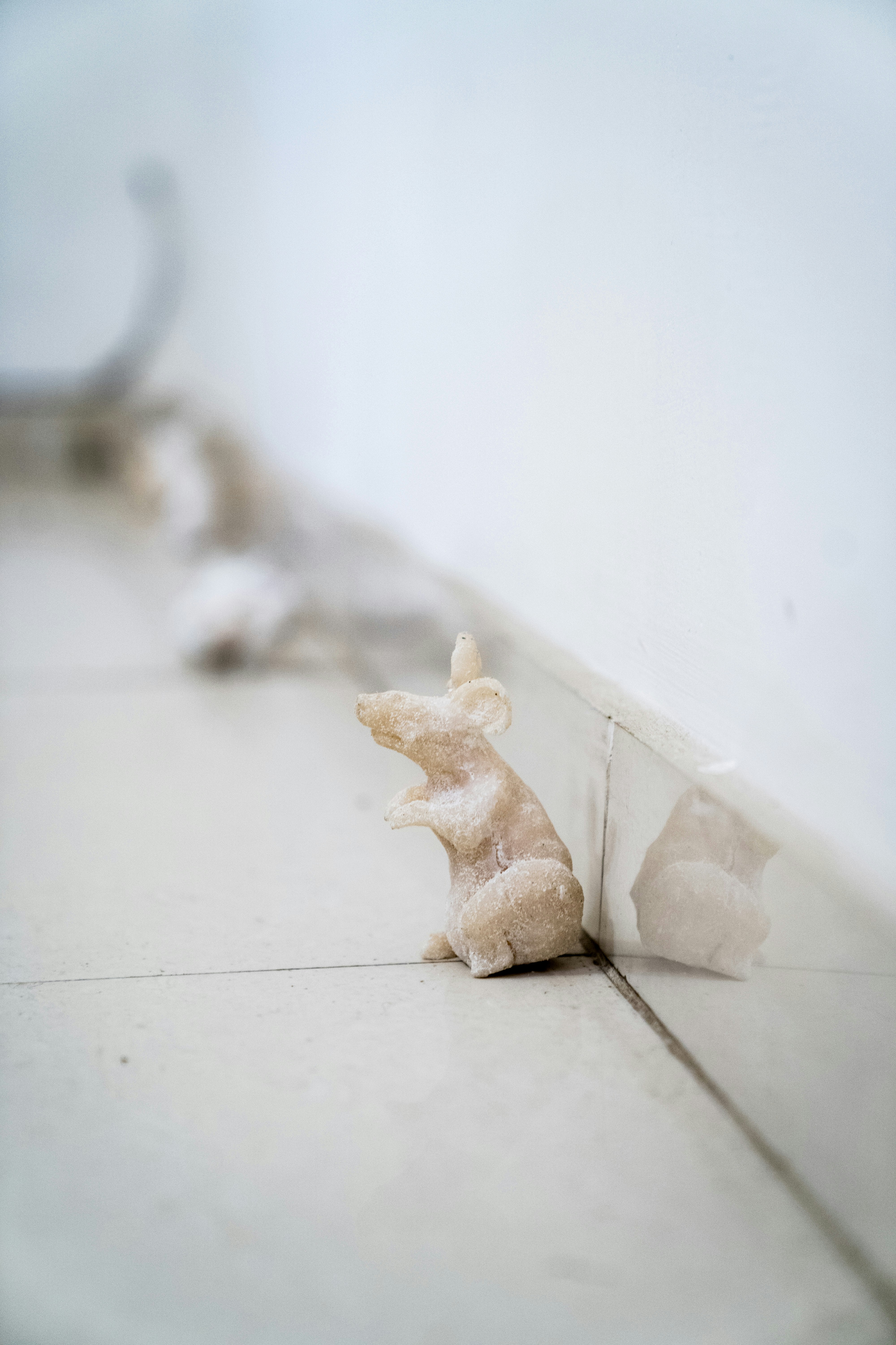 Gentle Toy Mouse Tossed in Soft Morning Light Along a Quiet Corridor